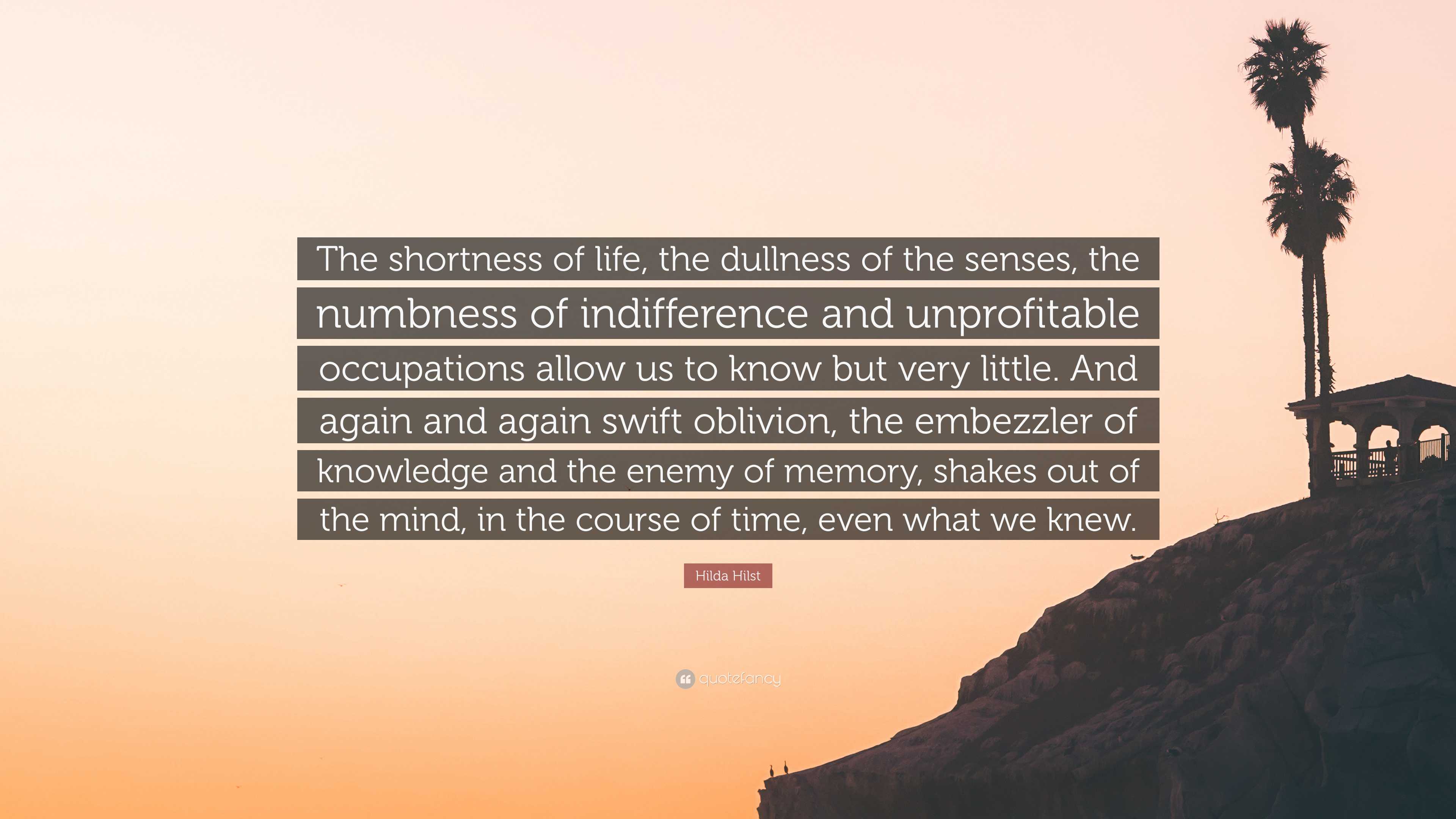 Hilda Hilst Quote: “The shortness of life, the dullness of the senses ...
