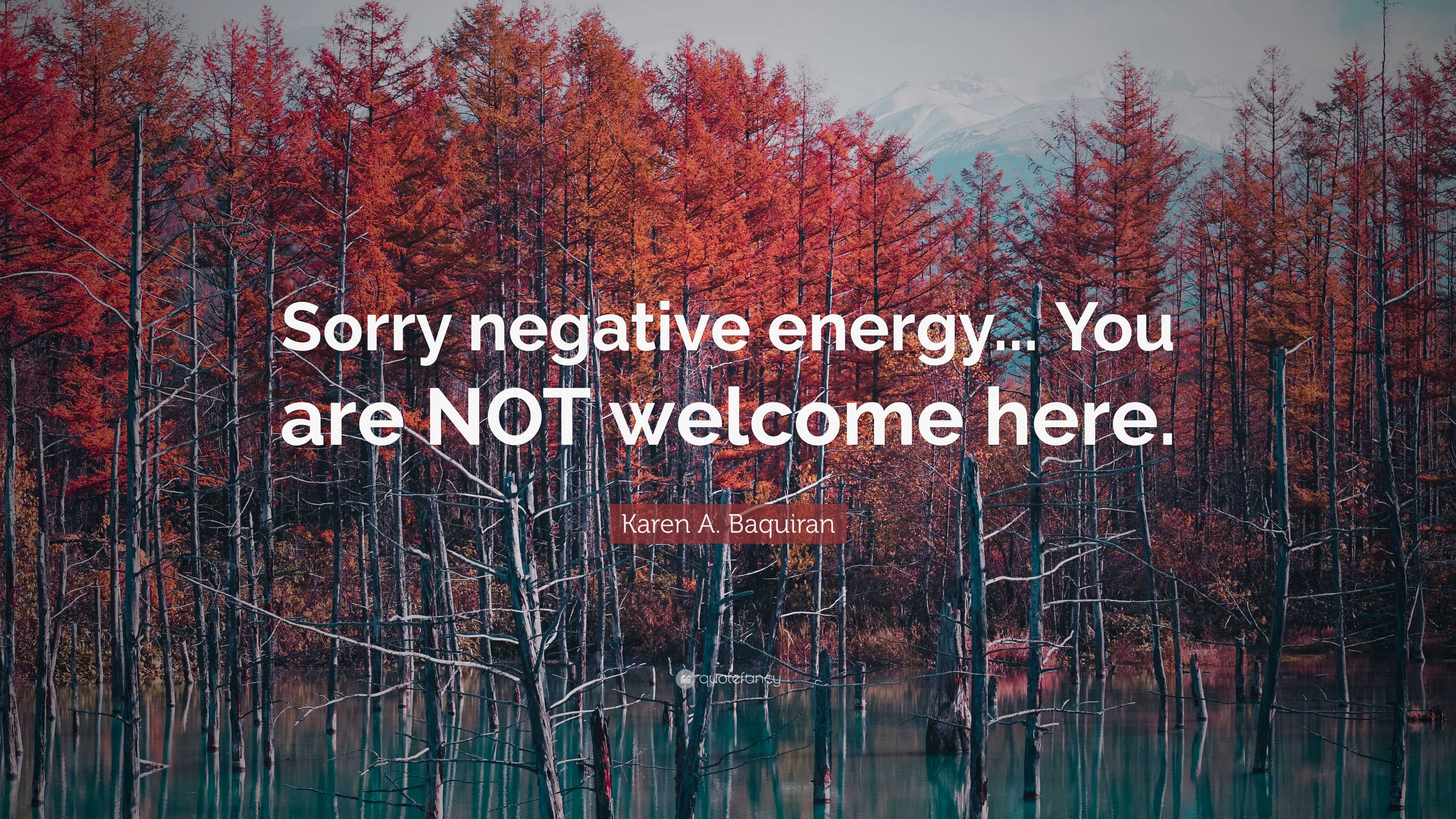 Karen A. Baquiran Quote: “Sorry negative energy... You are NOT welcome ...