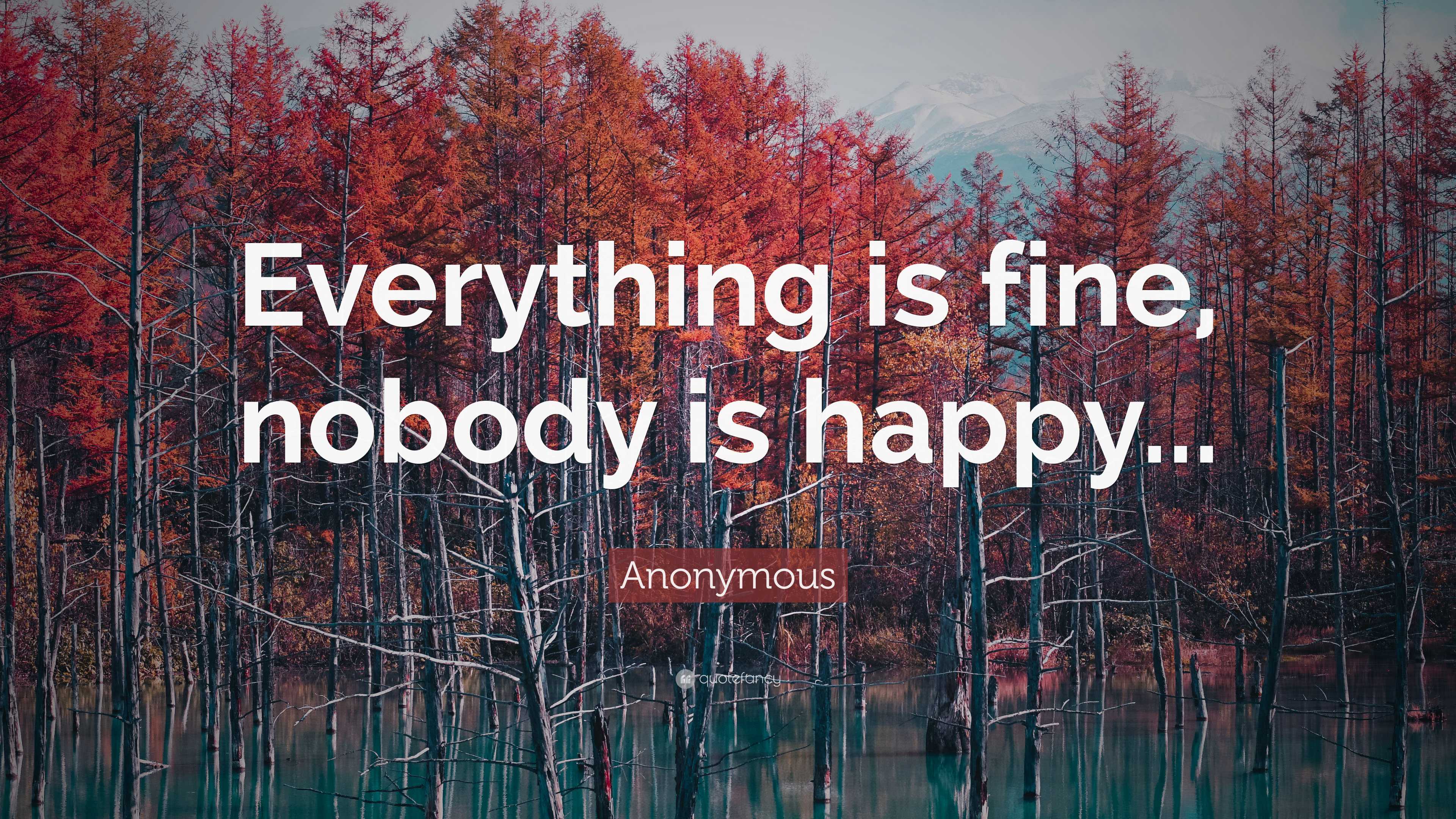 Anonymous Quote: “Everything is fine, nobody is happy...”