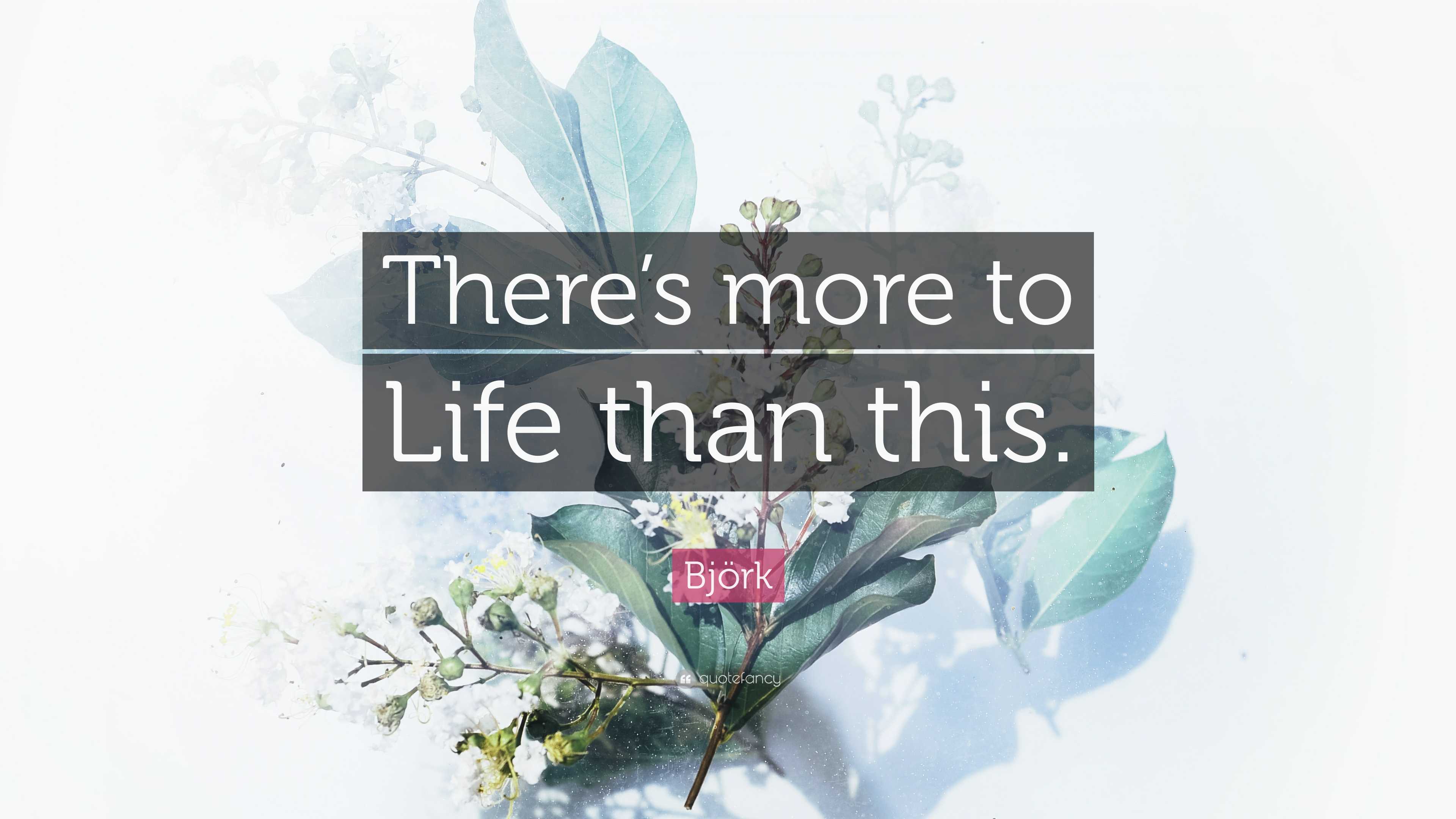 Björk Quote: “There’s more to Life than this.”