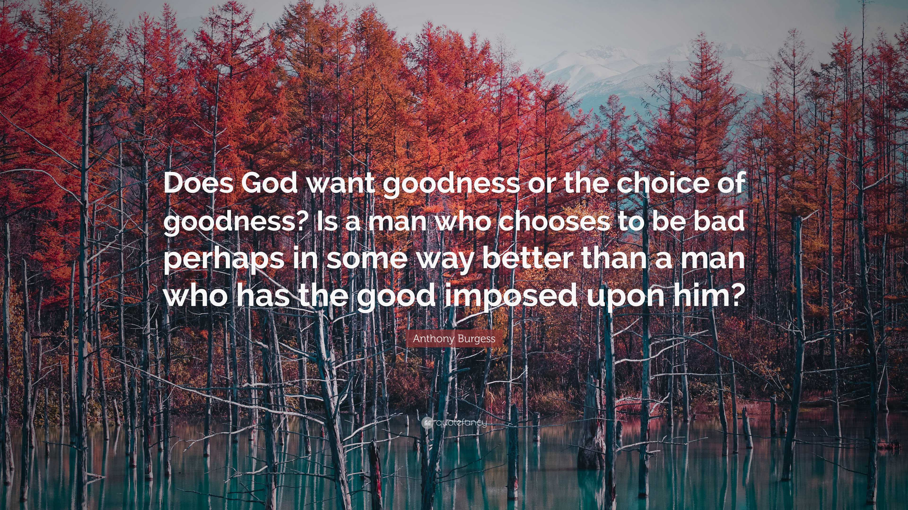 Anthony Burgess Quote: “Does God want goodness or the choice of ...
