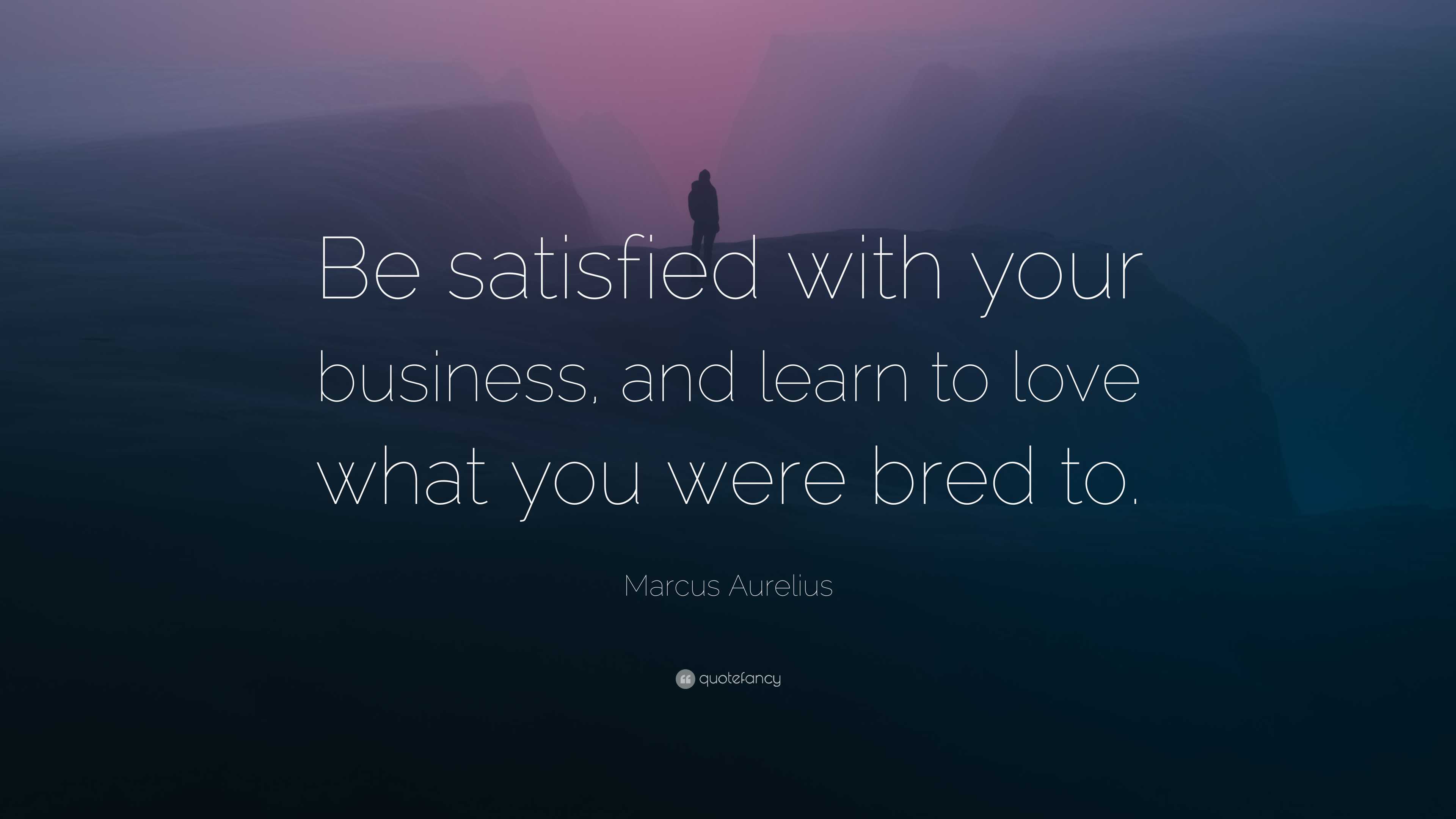 Marcus Aurelius Quote: “Be satisfied with your business, and learn to ...