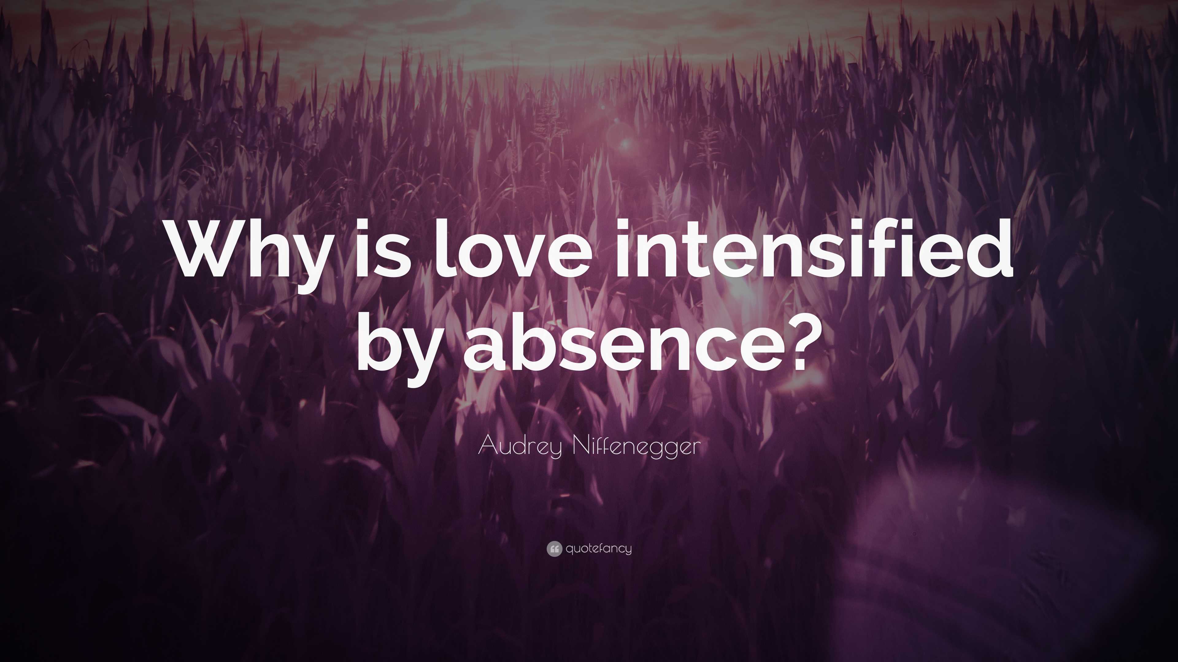 Audrey Niffenegger Quote: “Why is love intensified by absence?”