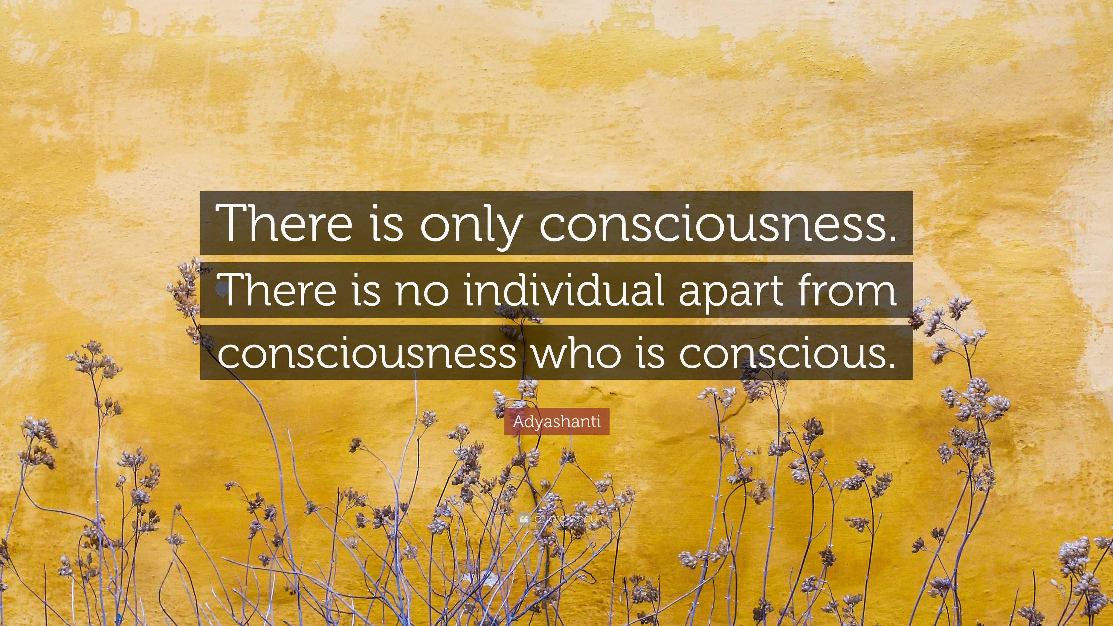 Adyashanti Quote: “There is only consciousness. There is no individual ...