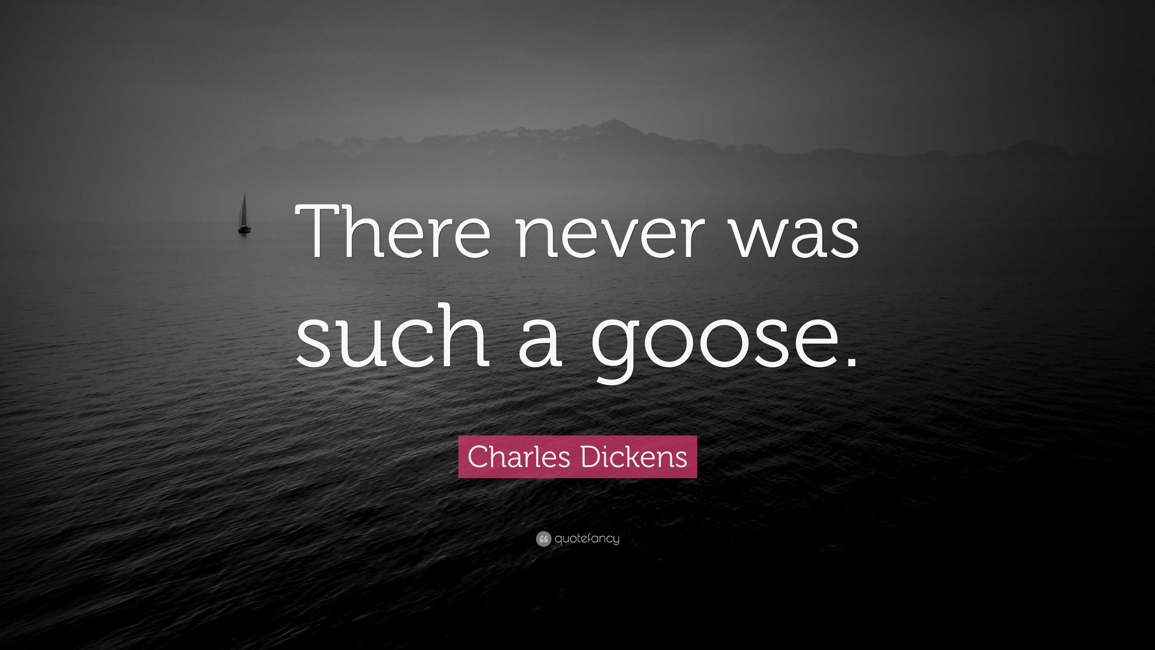 Charles Dickens Quote: “There never was such a goose.”