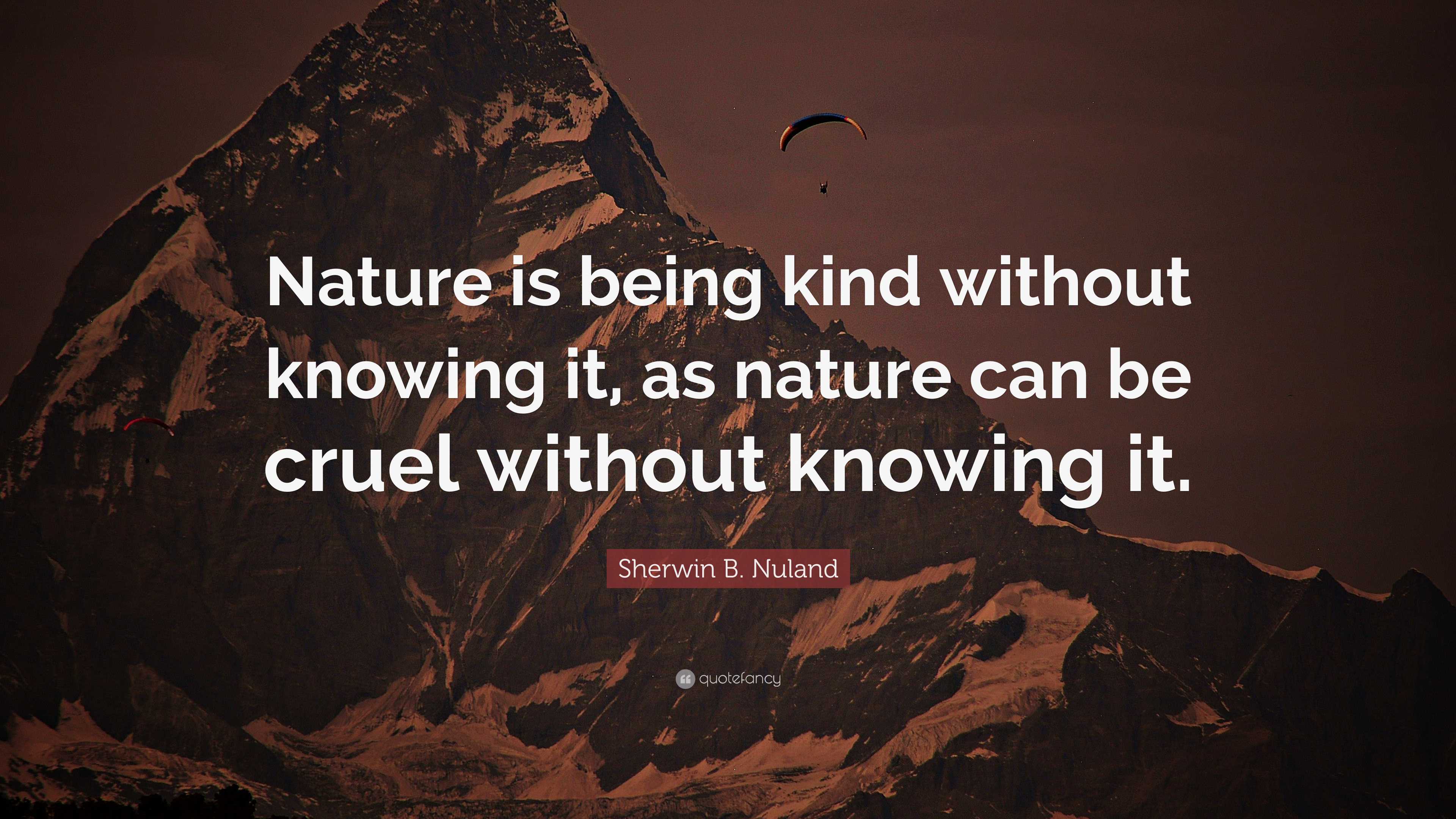 Sherwin B. Nuland Quote: “Nature is being kind without knowing it, as ...