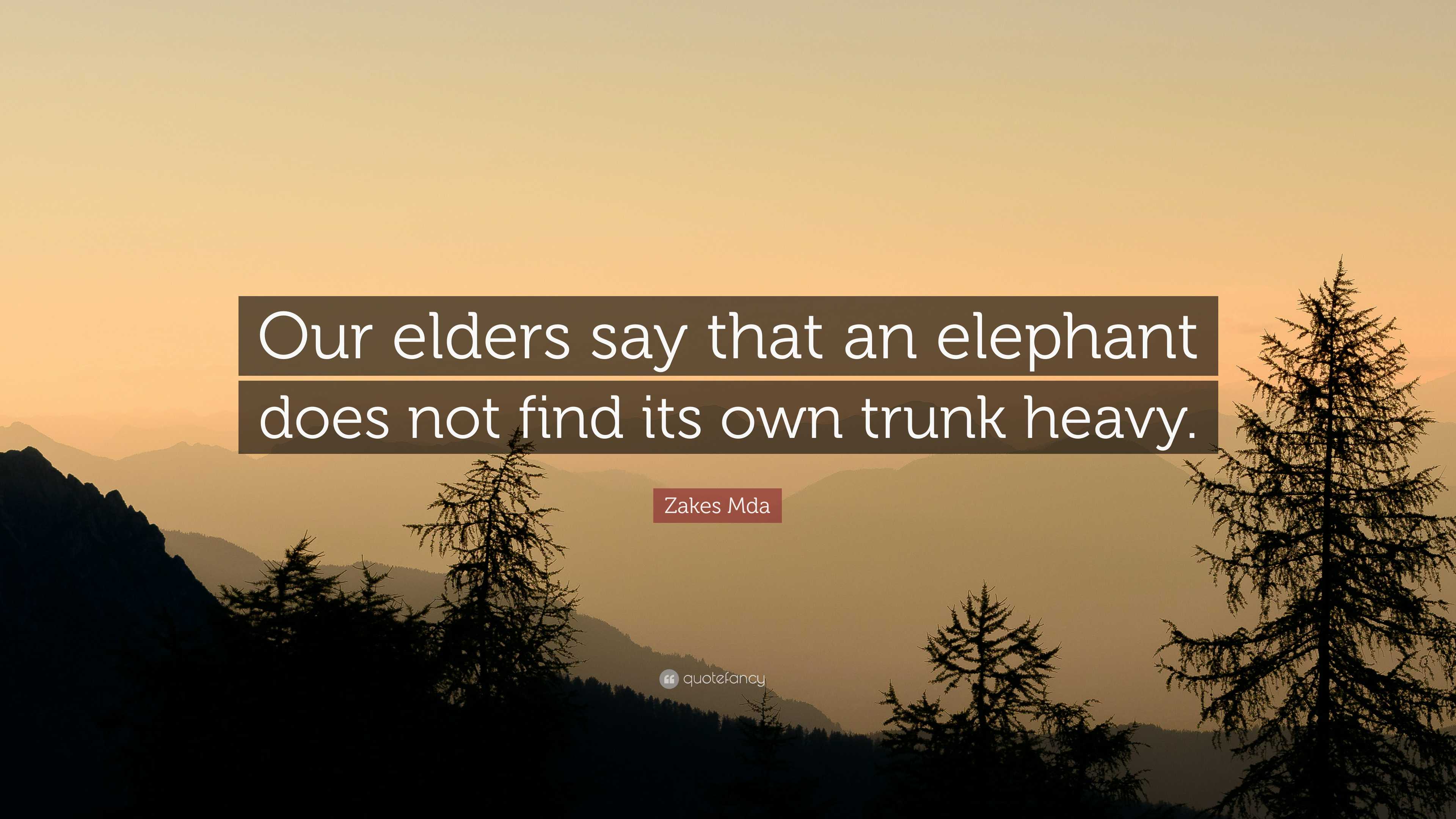 Zakes Mda Quote: “Our elders say that an elephant does not find its own ...