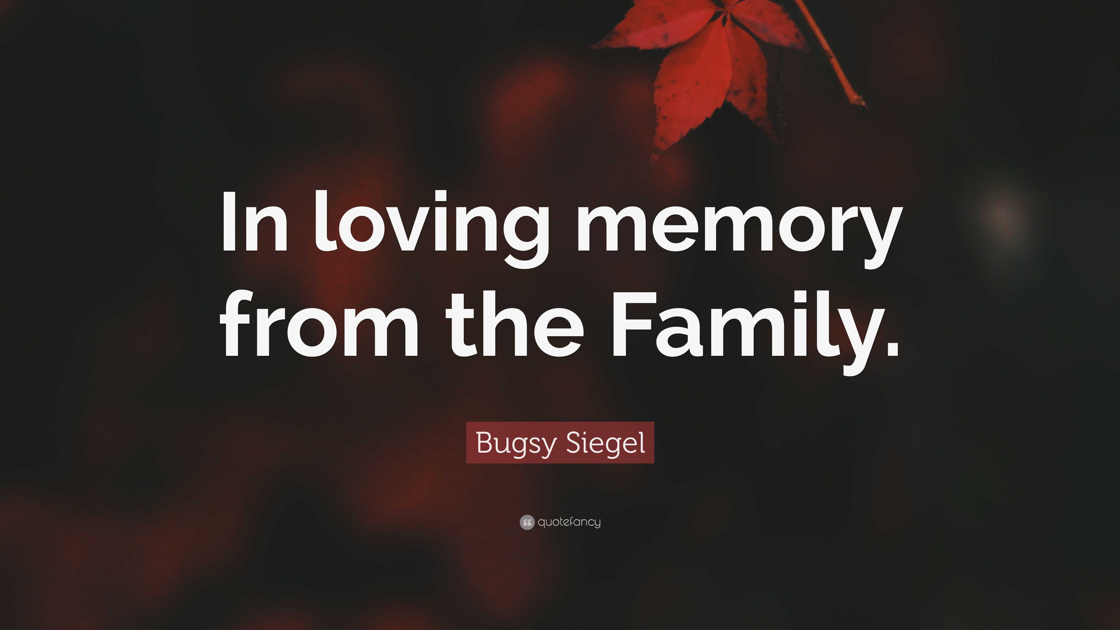 Buggsy Quotes Cubicles Stories Wattpad