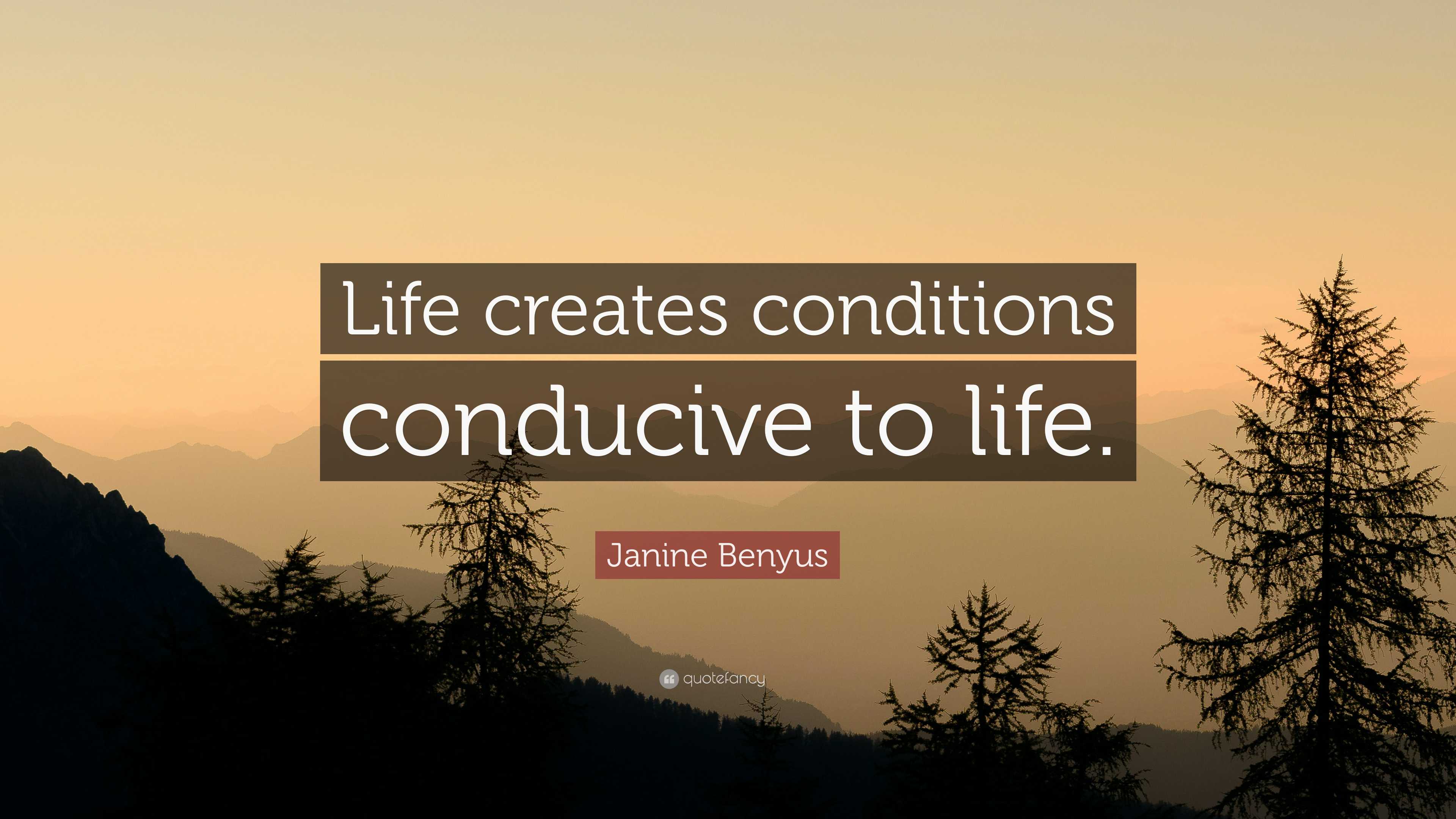 Janine Benyus Quote: “Life creates conditions conducive to life.”
