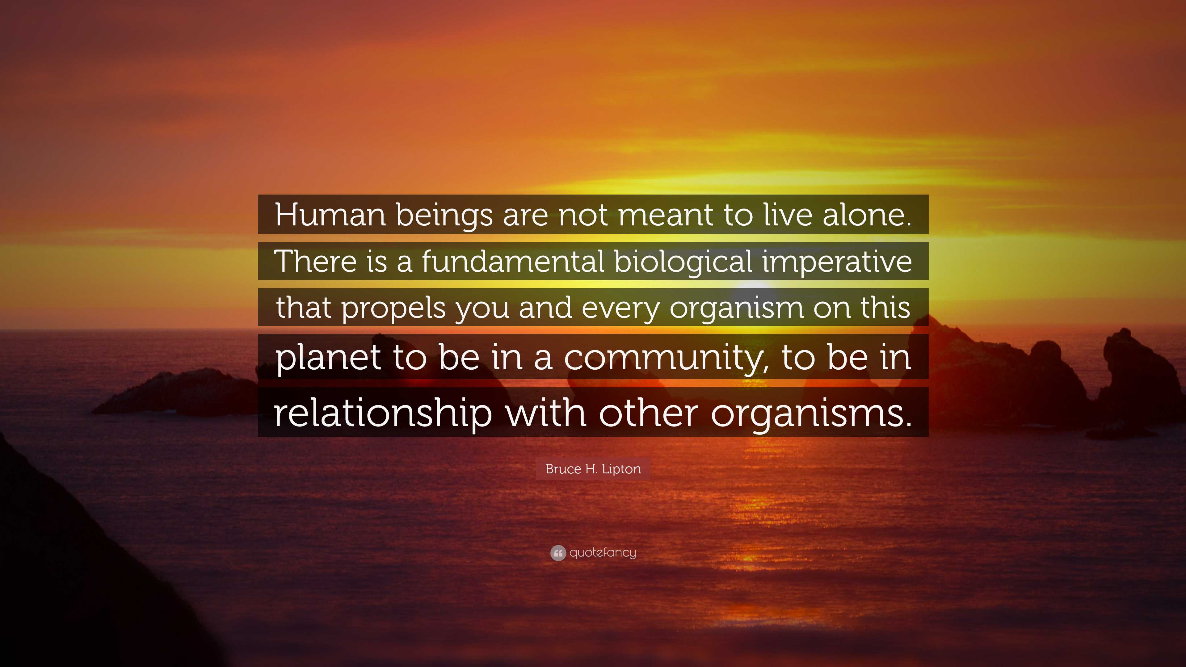 Bruce H. Lipton Quote: “Human beings are not meant to live alone. There ...