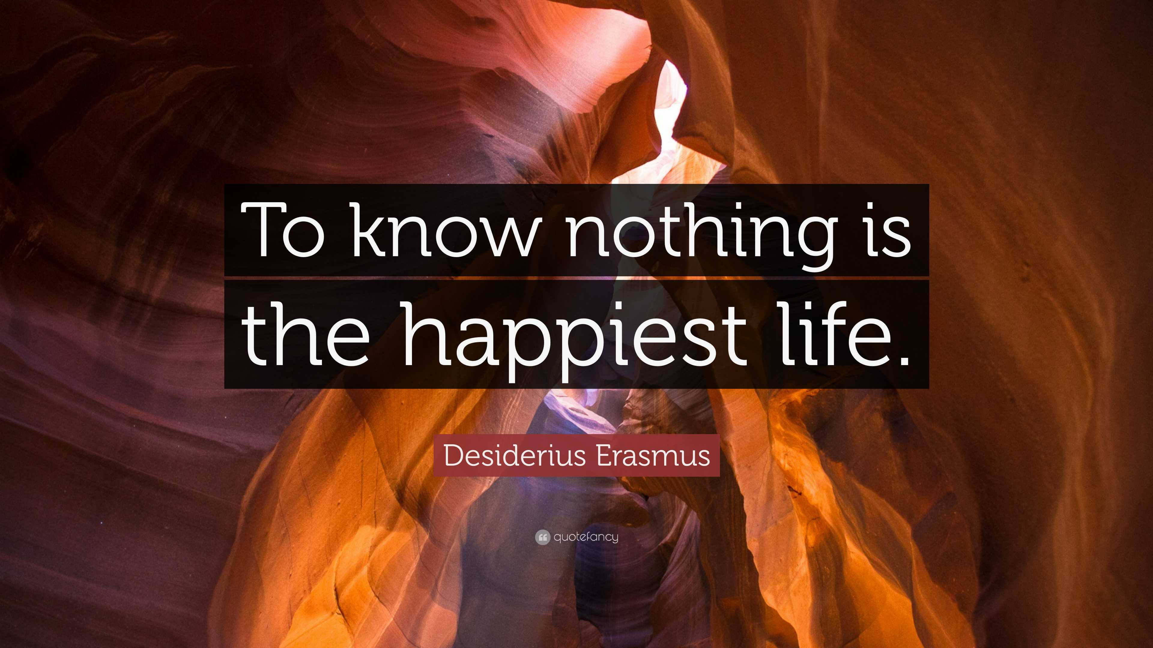 Desiderius Erasmus Quote: “To know nothing is the happiest life.”