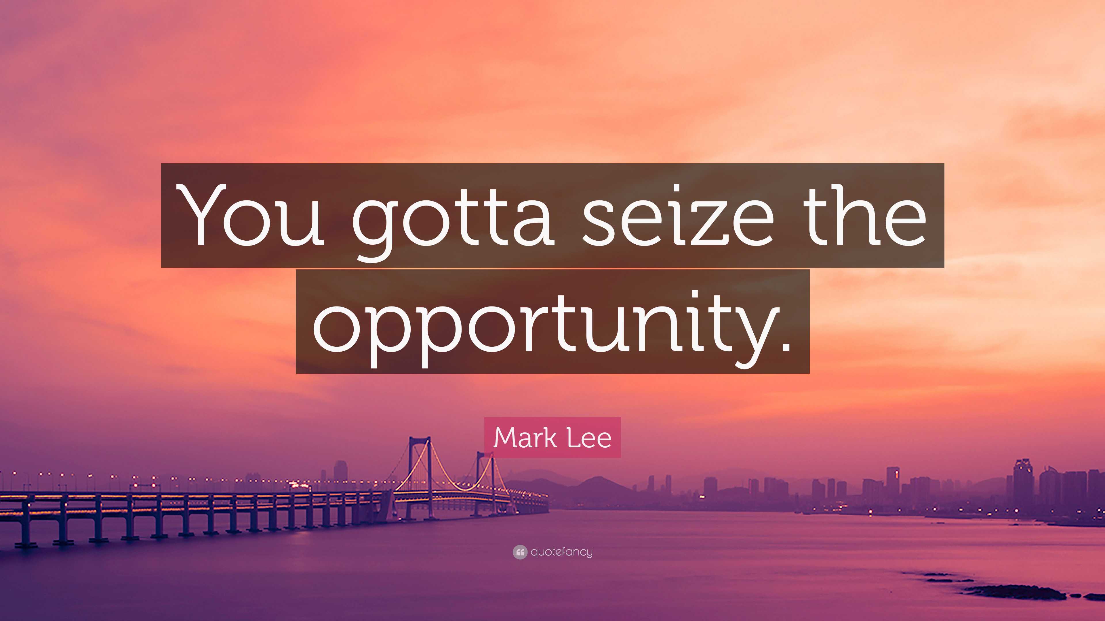 Mark Lee Quote: “You gotta seize the opportunity.”