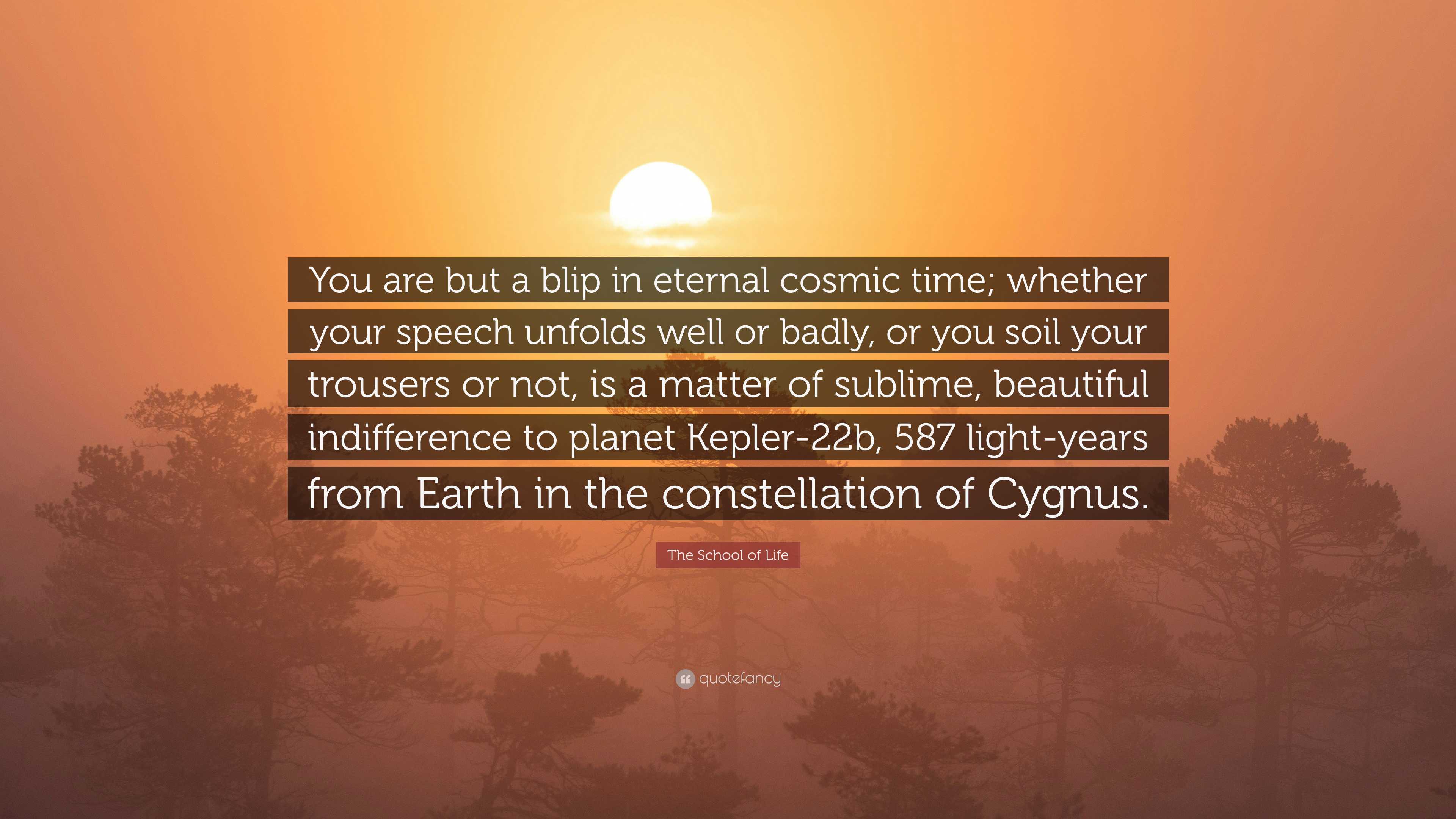 The School of Life Quote: “You are but a blip in eternal cosmic time ...