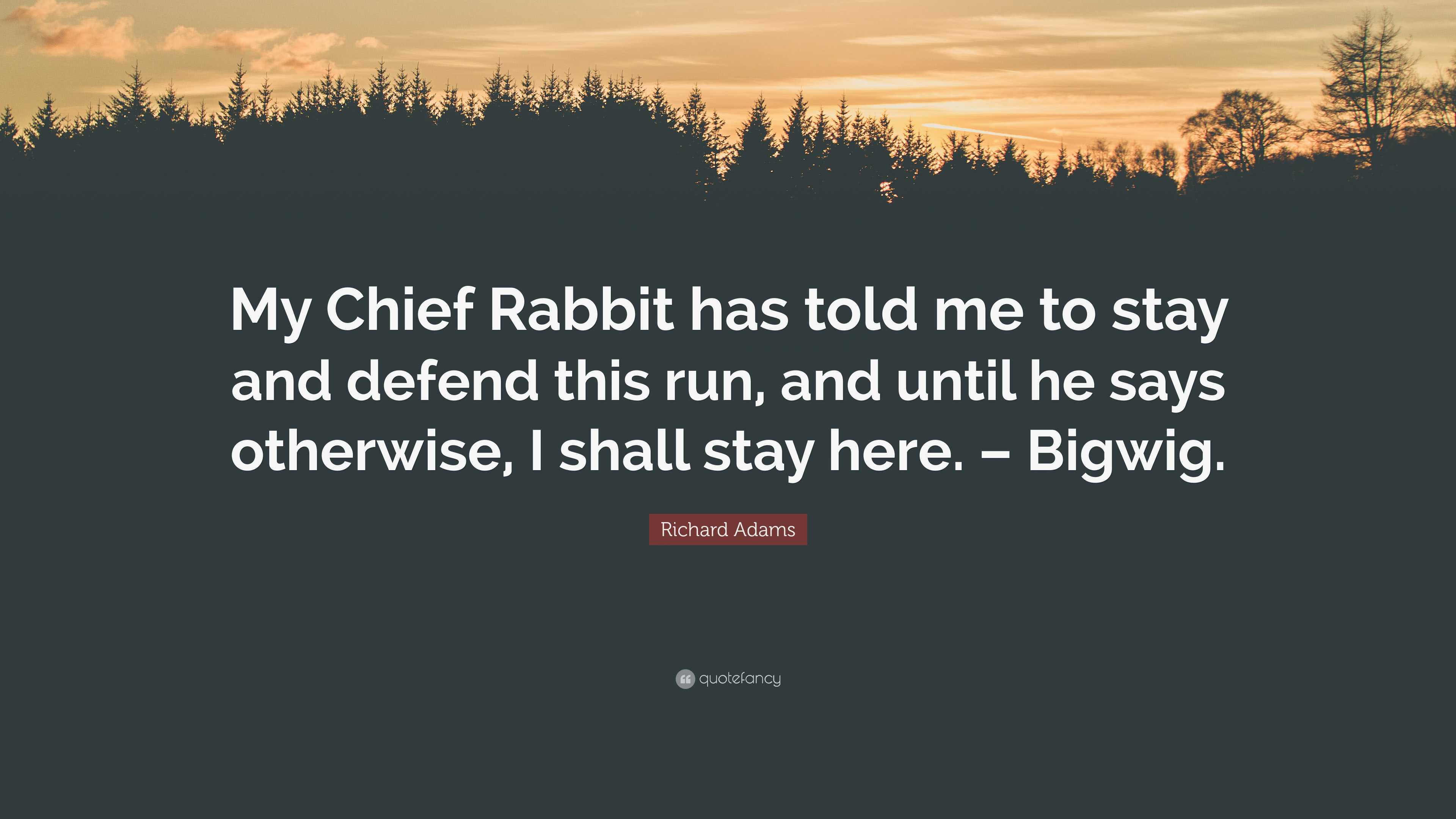 Richard Adams Quote: “My Chief Rabbit has told me to stay and defend ...