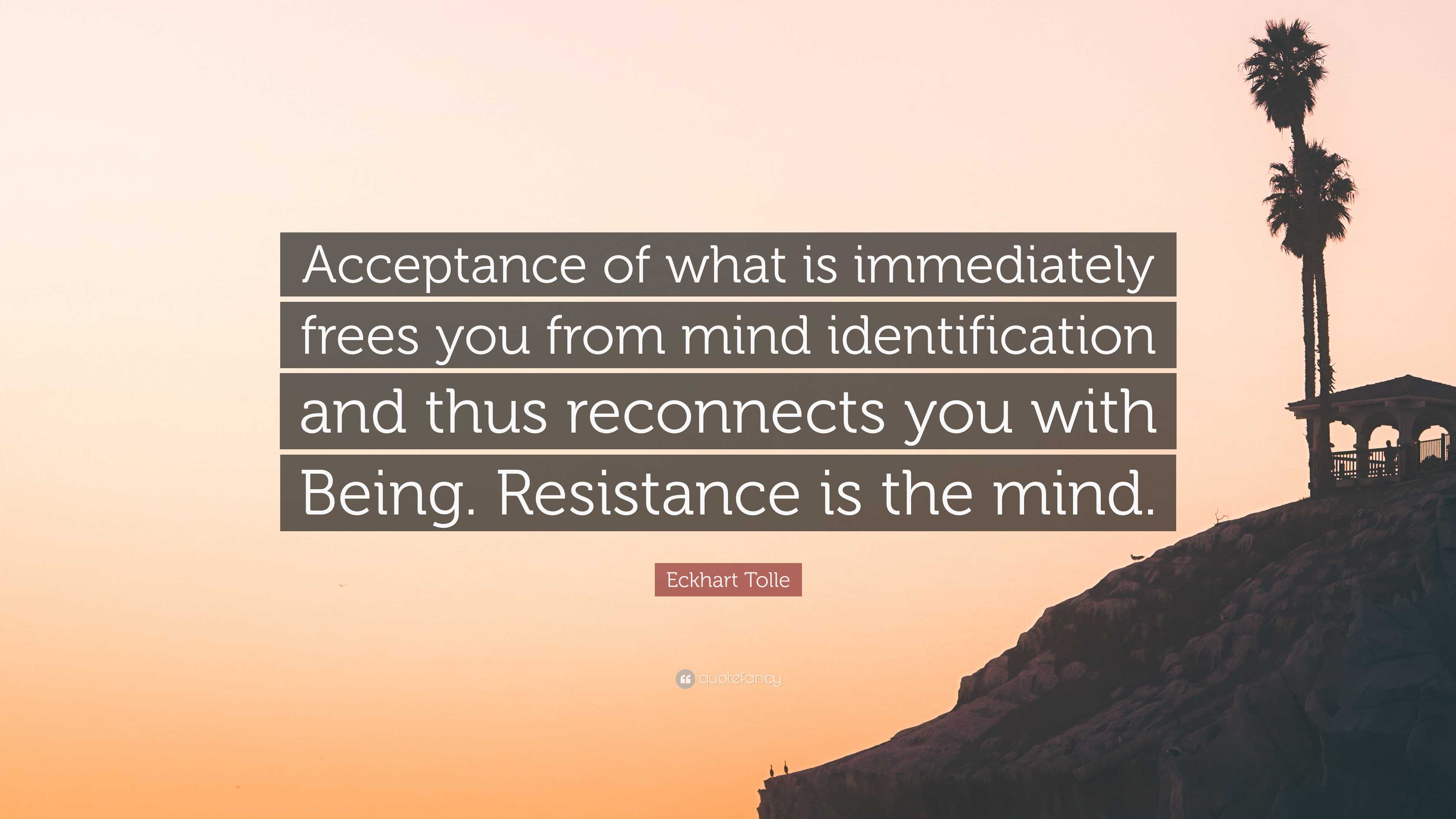 Eckhart Tolle Quote: “Acceptance of what is immediately frees you from ...