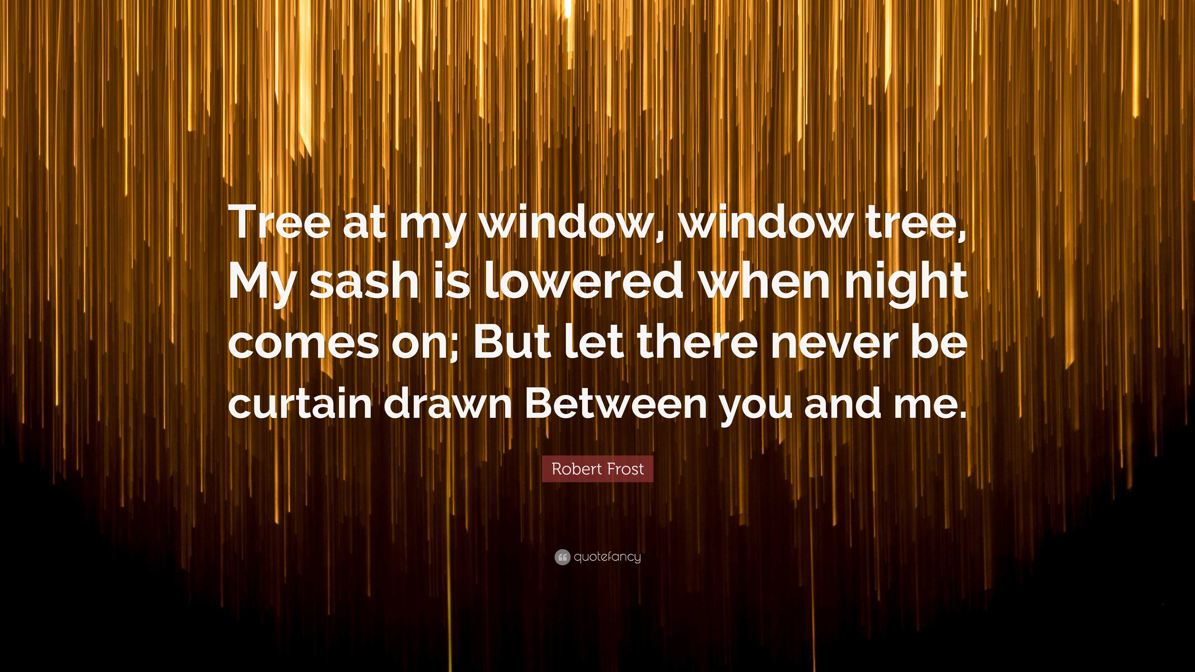 Robert Frost Quote: “Tree at my window, window tree, My sash is lowered ...