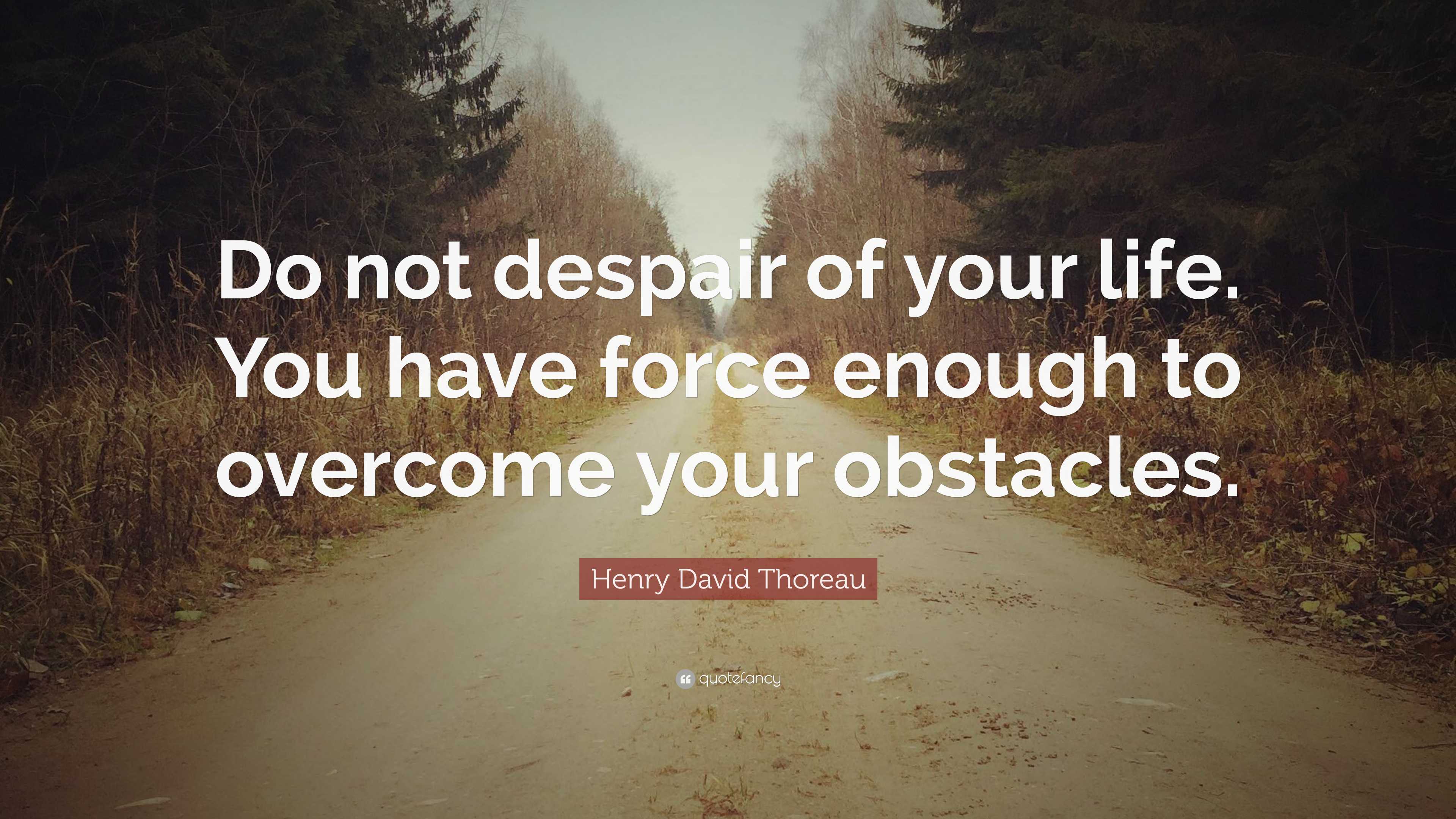 Henry David Thoreau Quote: “Do not despair of your life. You have force ...