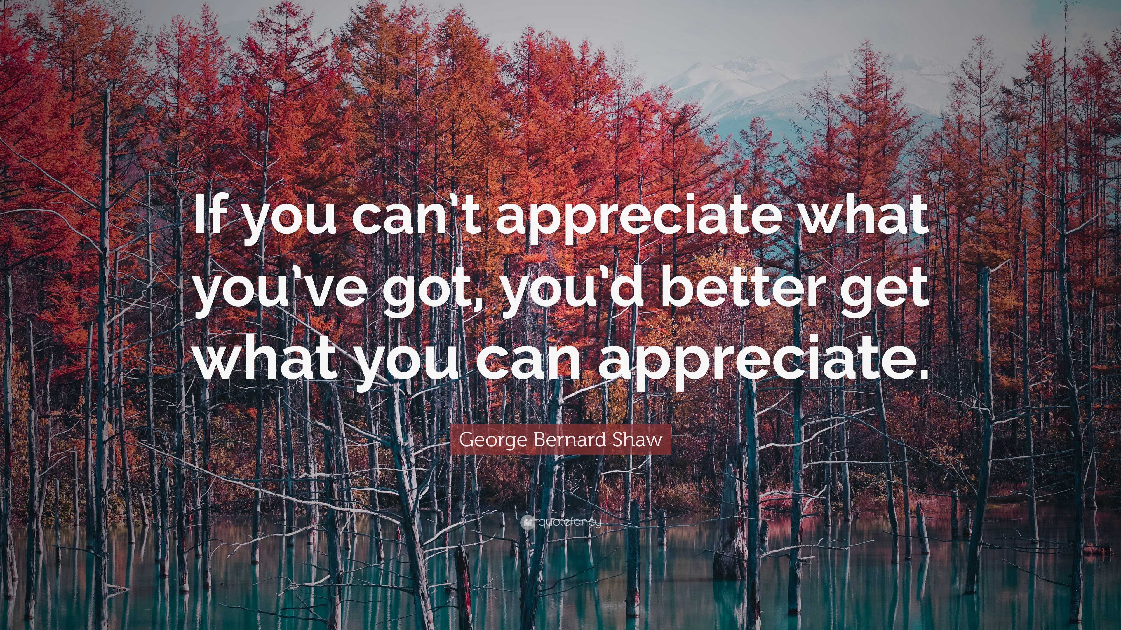 George Bernard Shaw Quote: “If you can’t appreciate what you’ve got ...