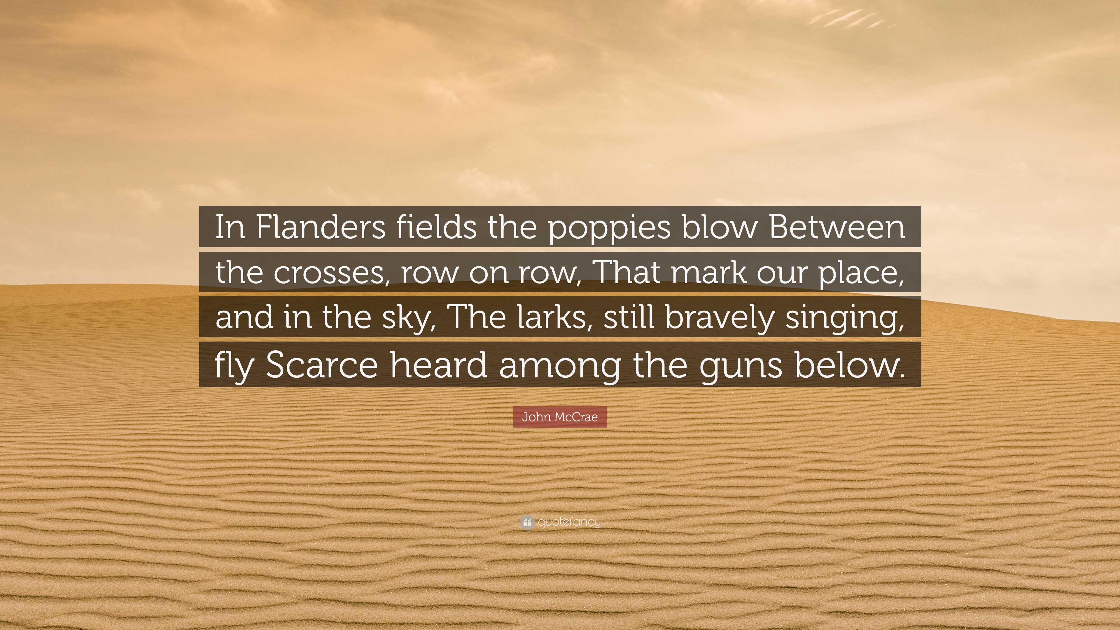 In Flanders Fields Quote Seymour & Lerhn On X: "To Commemorate