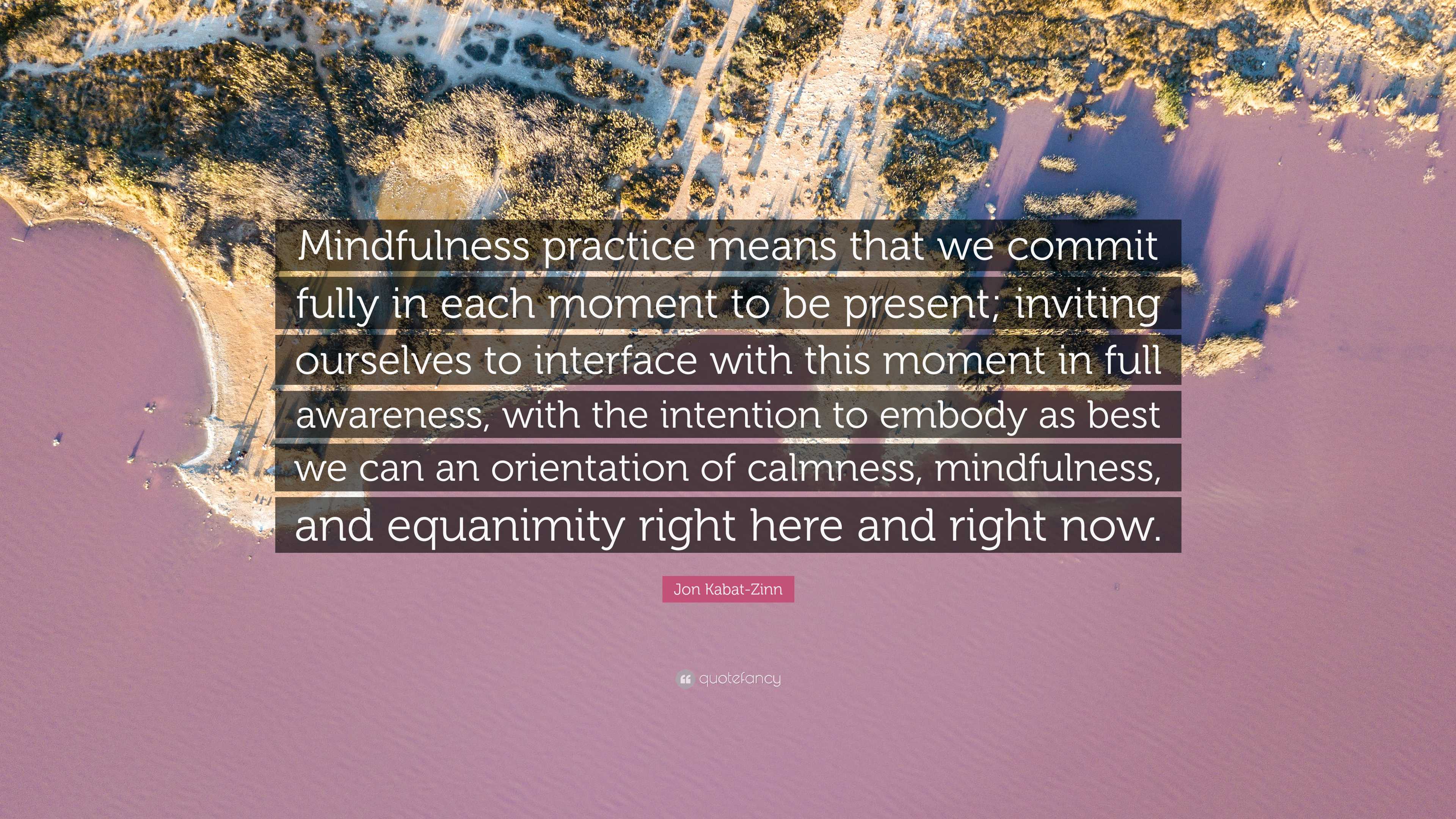 Jon Kabat-Zinn Quote: “Mindfulness practice means that we commit fully ...