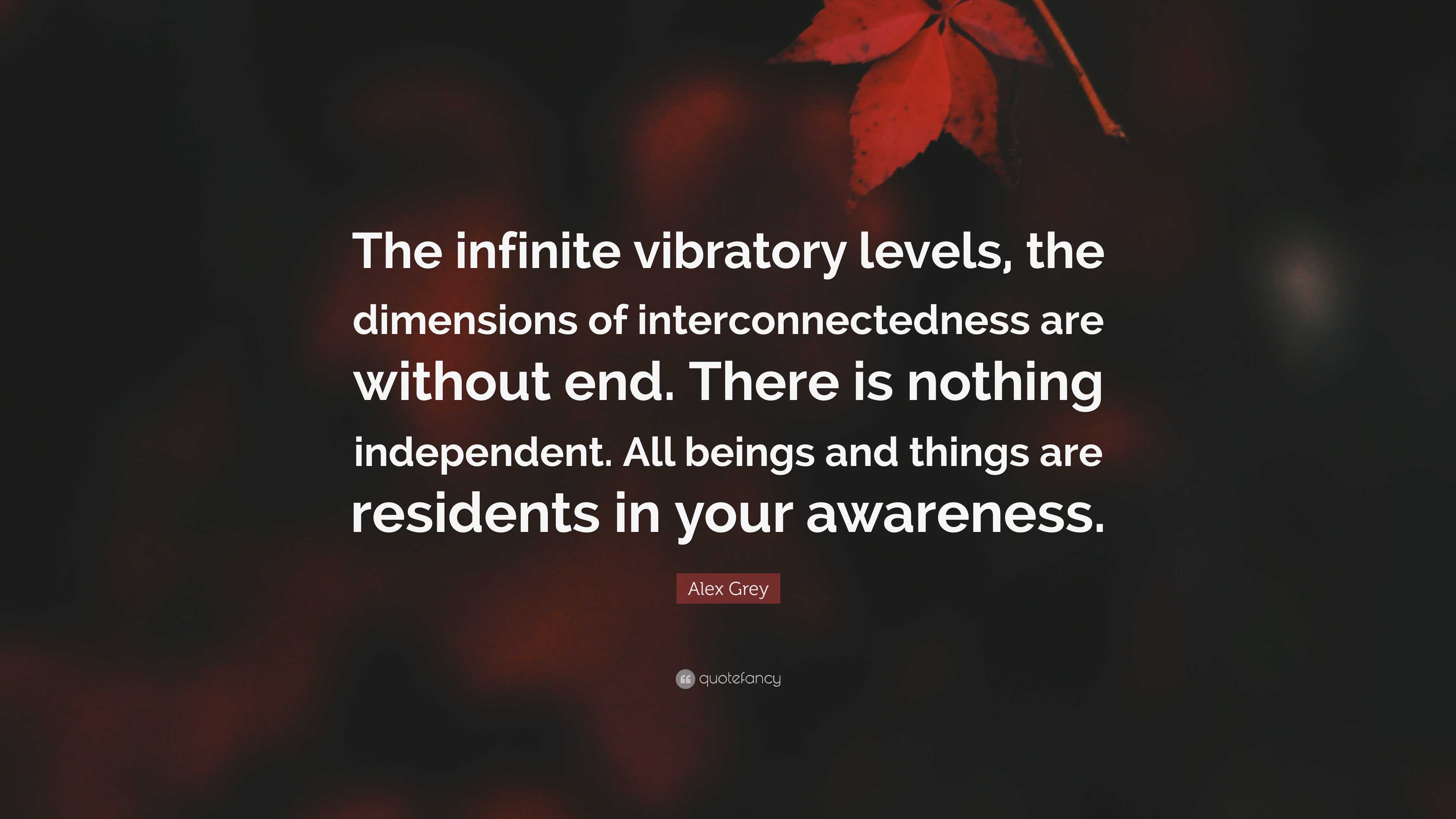 Alex Grey Quote: “The infinite vibratory levels, the dimensions of ...