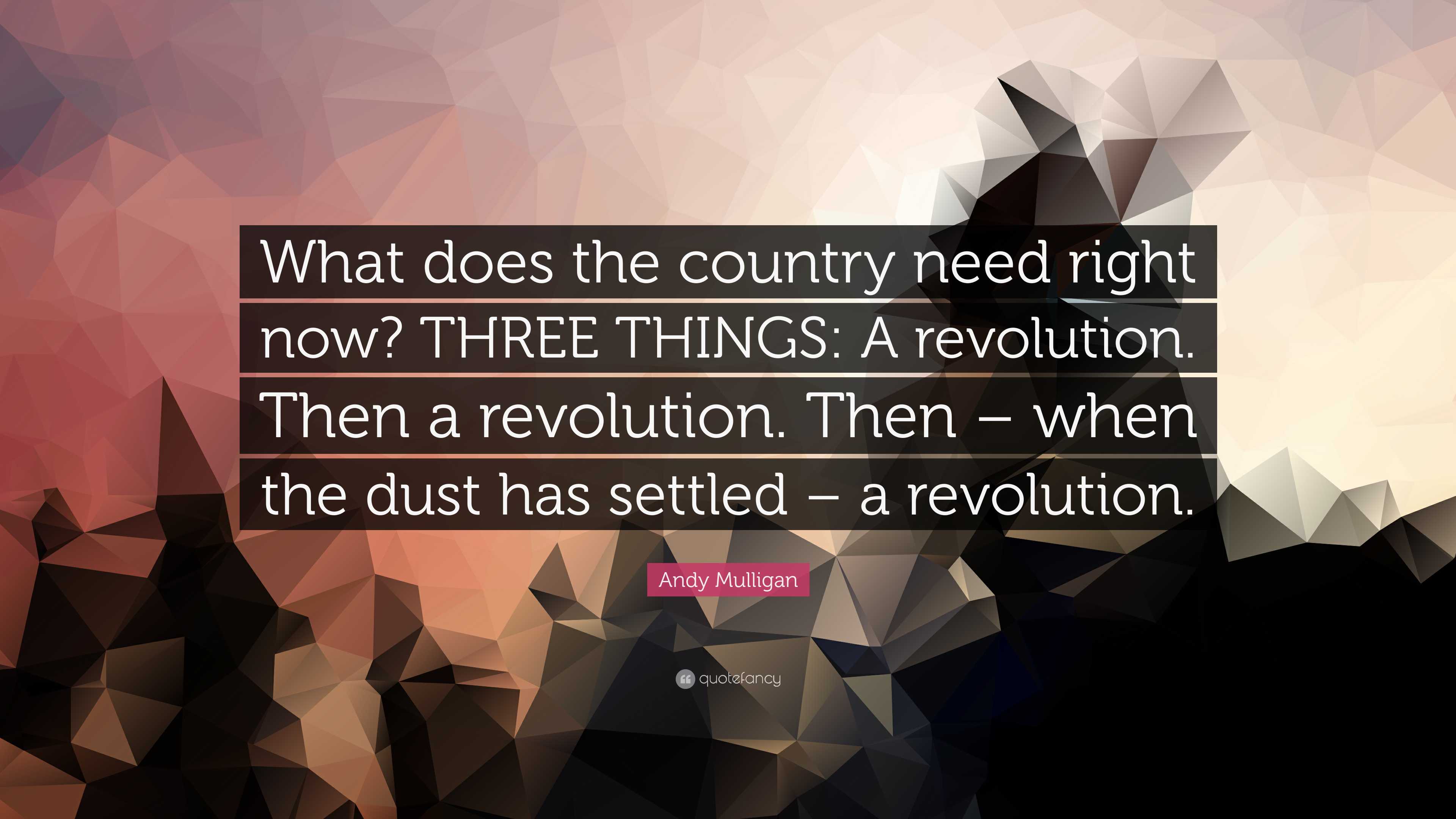 Andy Mulligan Quote: “What does the country need right now? THREE ...