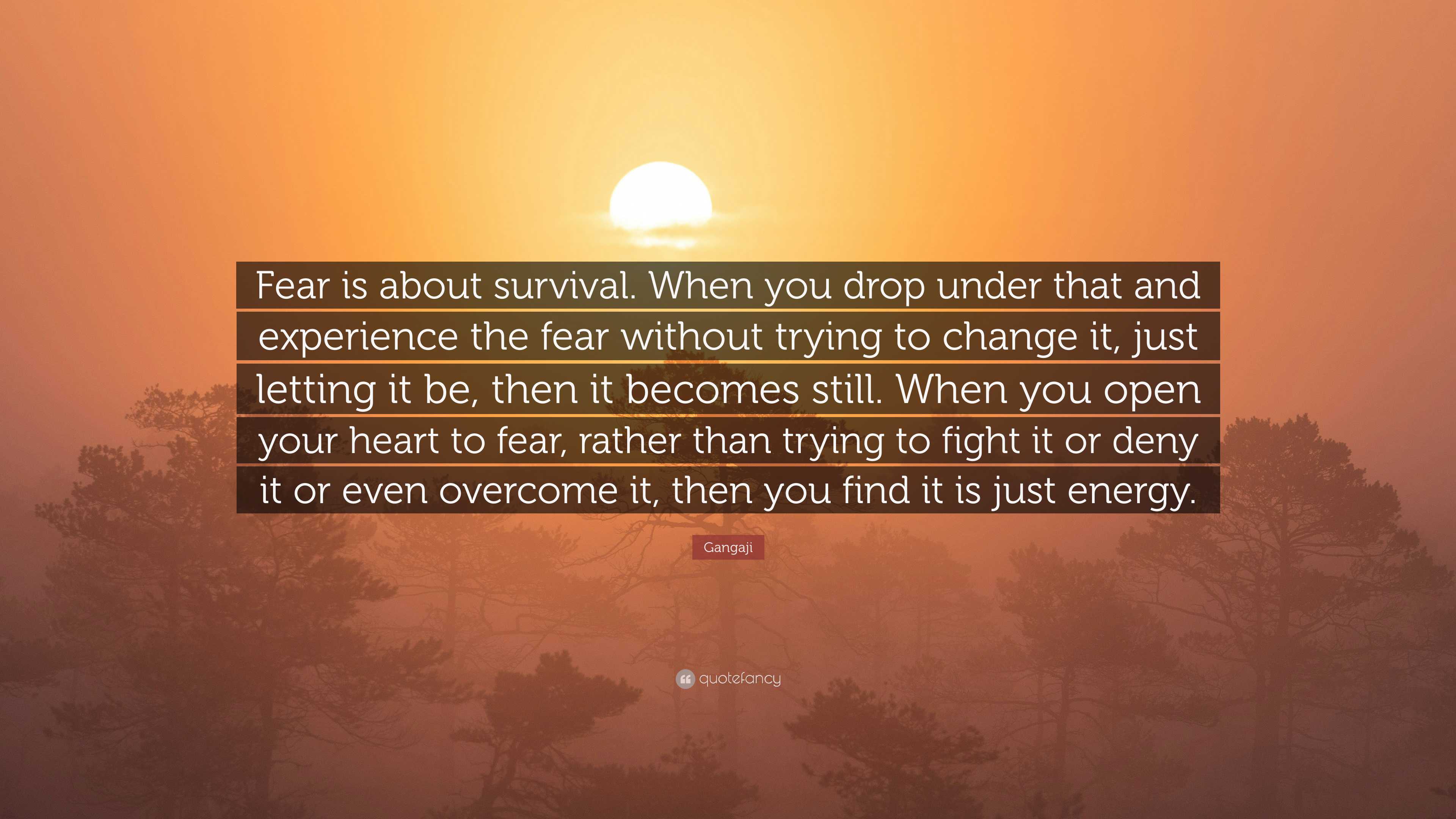 Gangaji Quote: “Fear is about survival. When you drop under that and ...