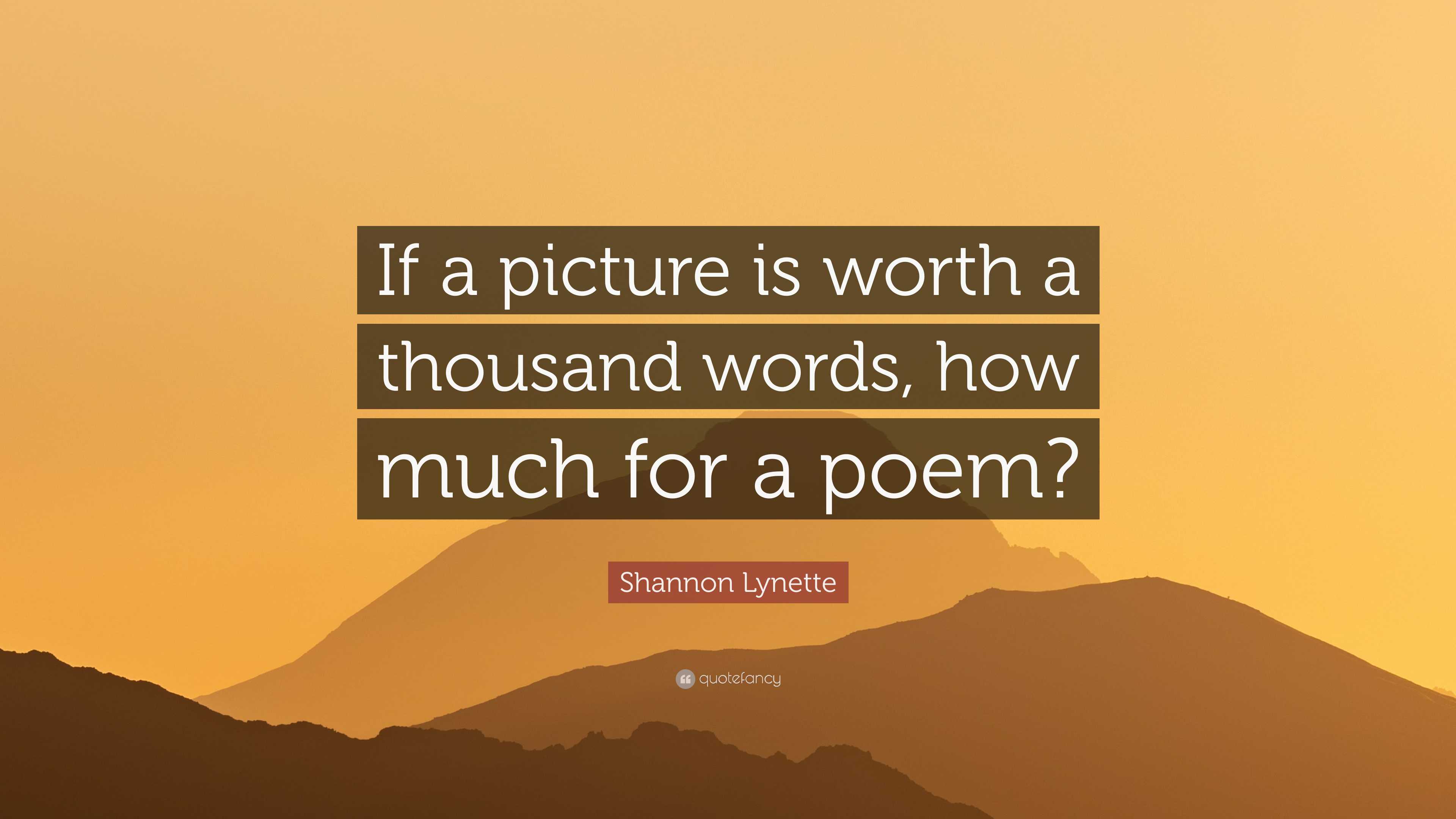 Shannon Lynette Quote: “If a picture is worth a thousand words, how ...