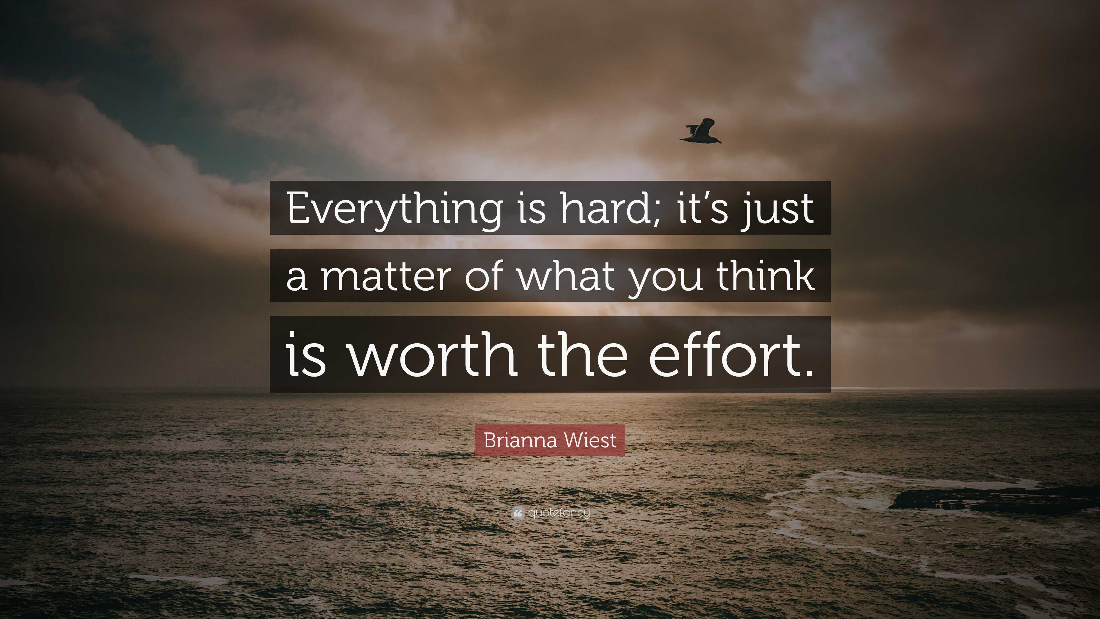 Brianna Wiest Quote: “Everything is hard; it’s just a matter of what ...