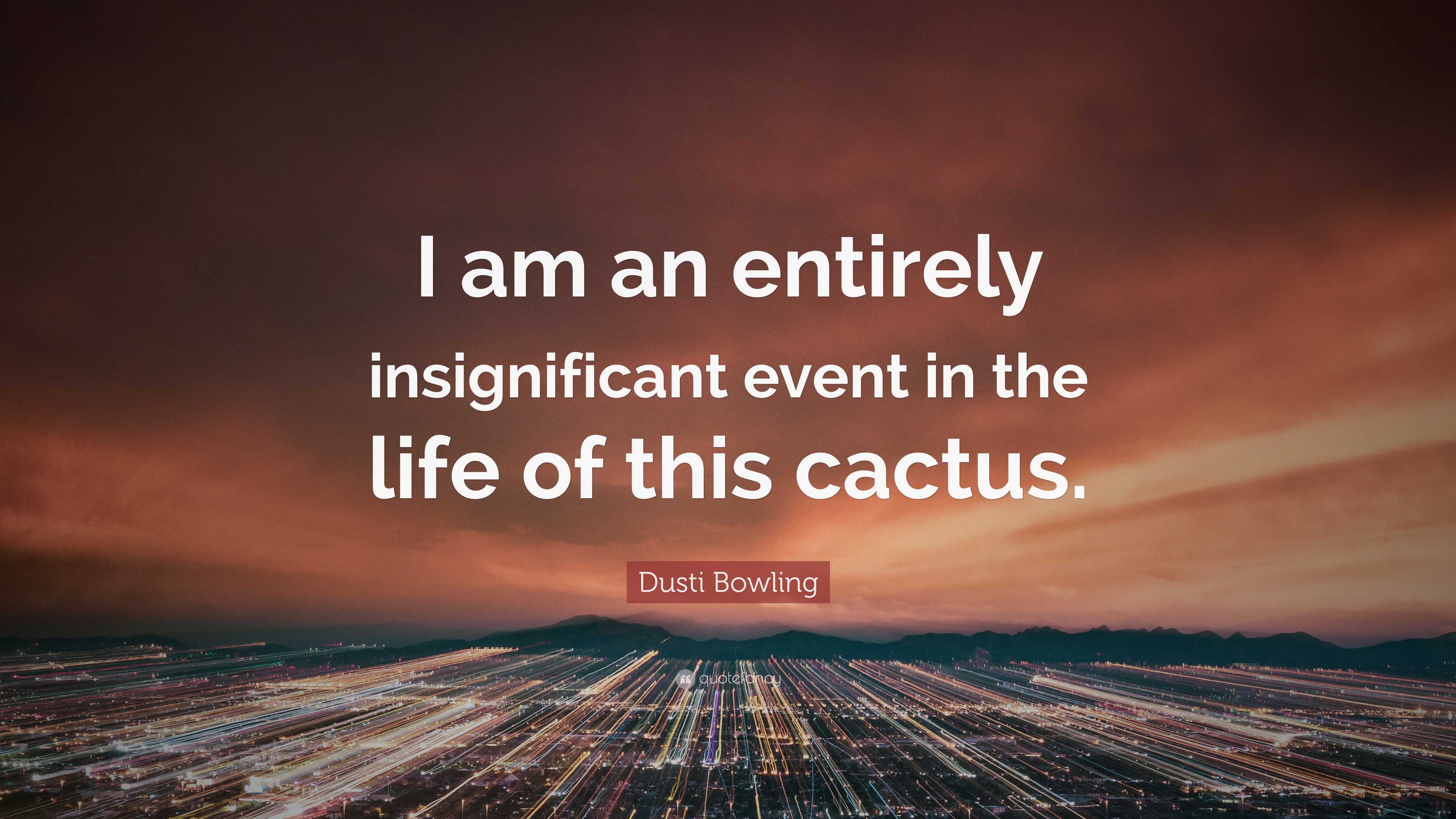 Dusti Bowling Quote: “I am an entirely insignificant event in the life ...