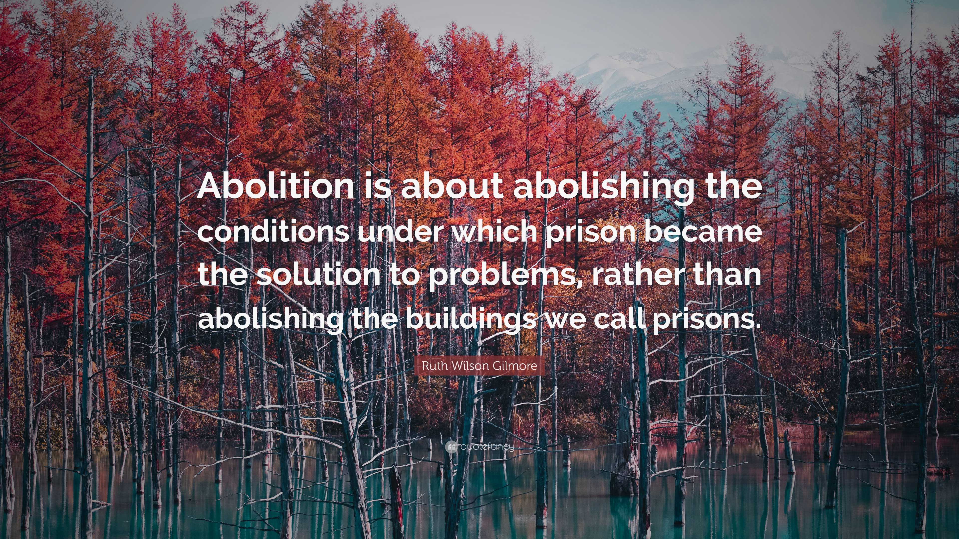 Ruth Wilson Gilmore Quote: “Abolition is about abolishing the ...