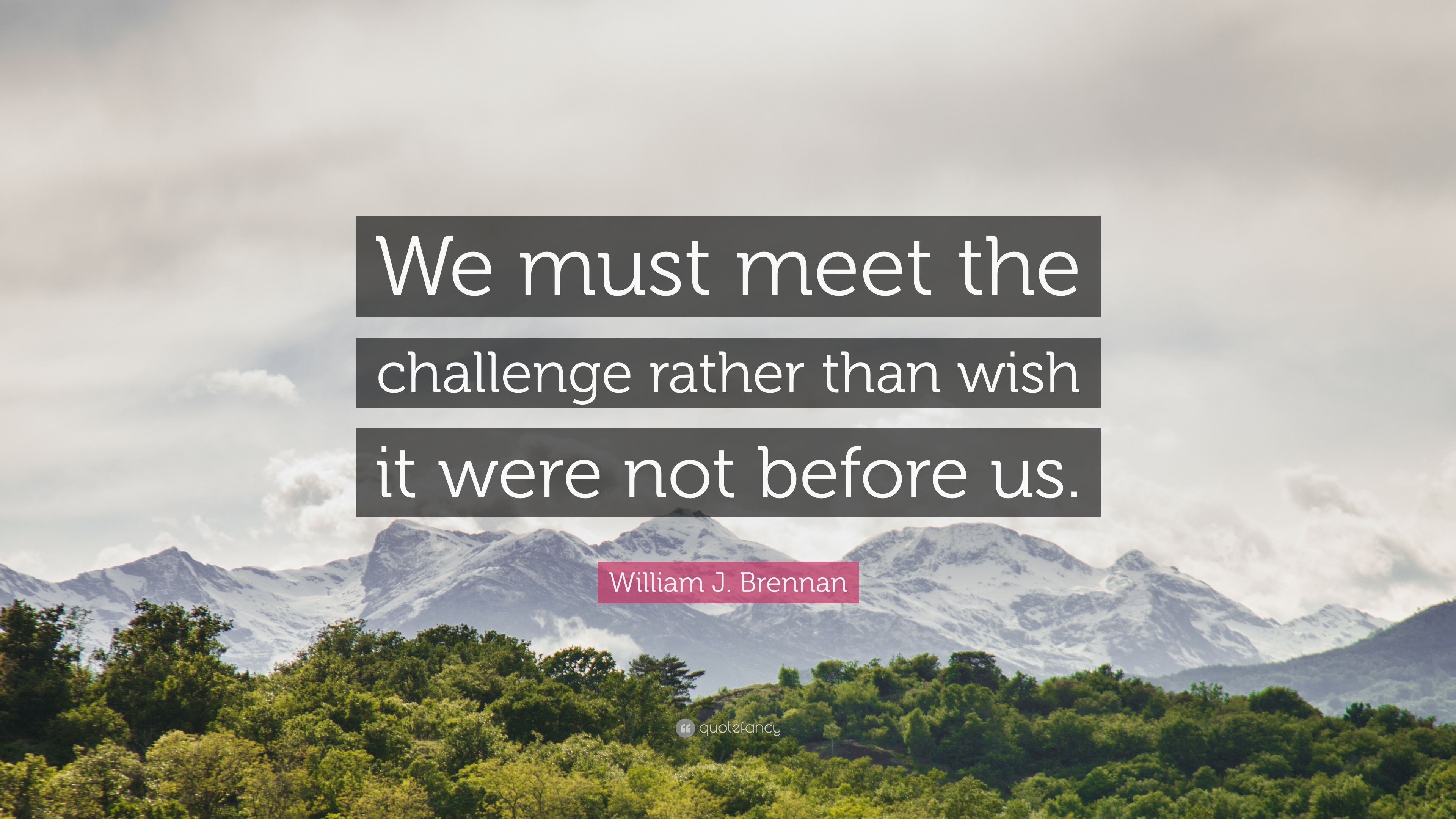 William J. Brennan Quote: “We must meet the challenge rather than wish ...
