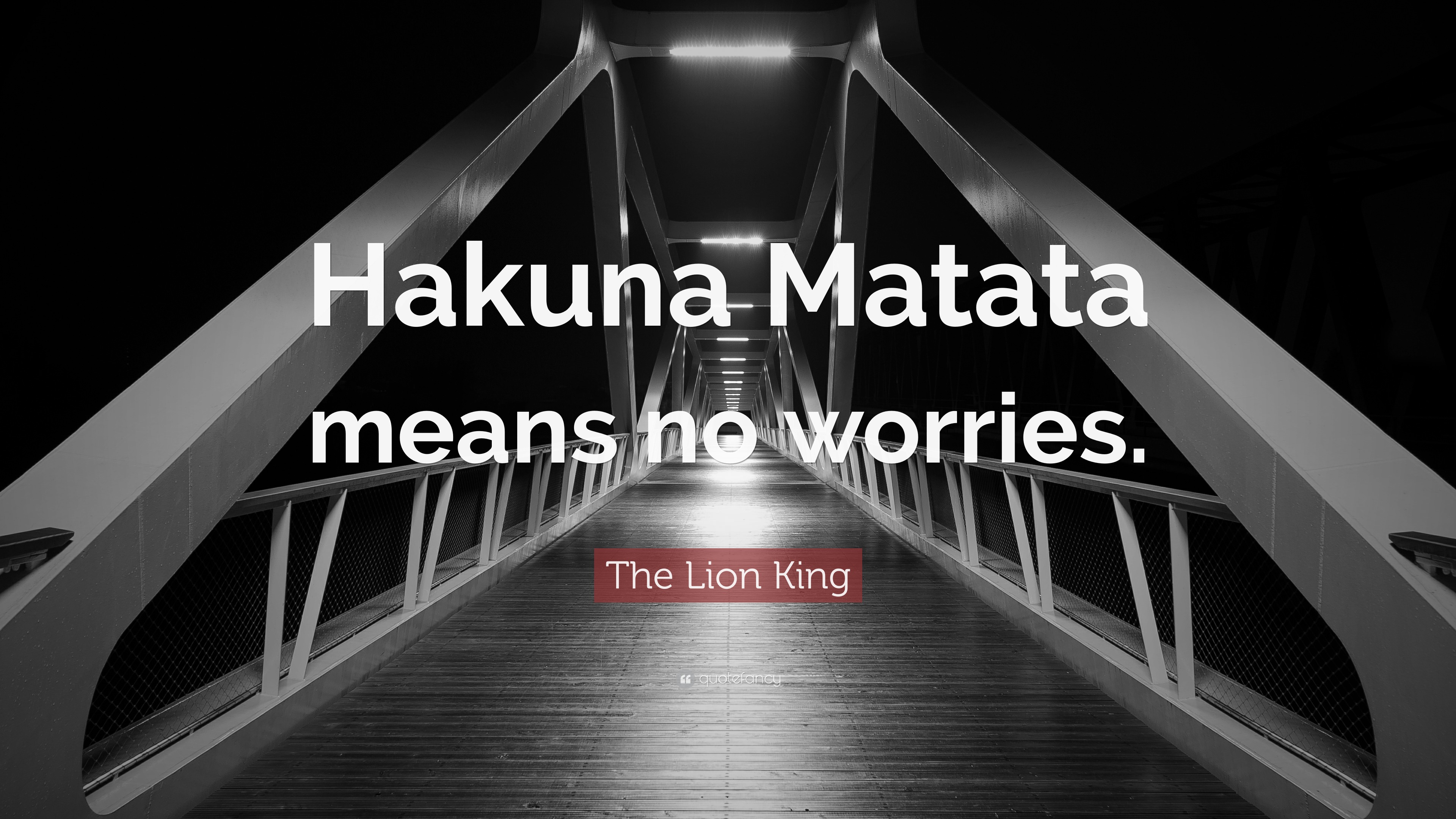The Lion King Quote: "Hakuna Matata means no worries." - All For One