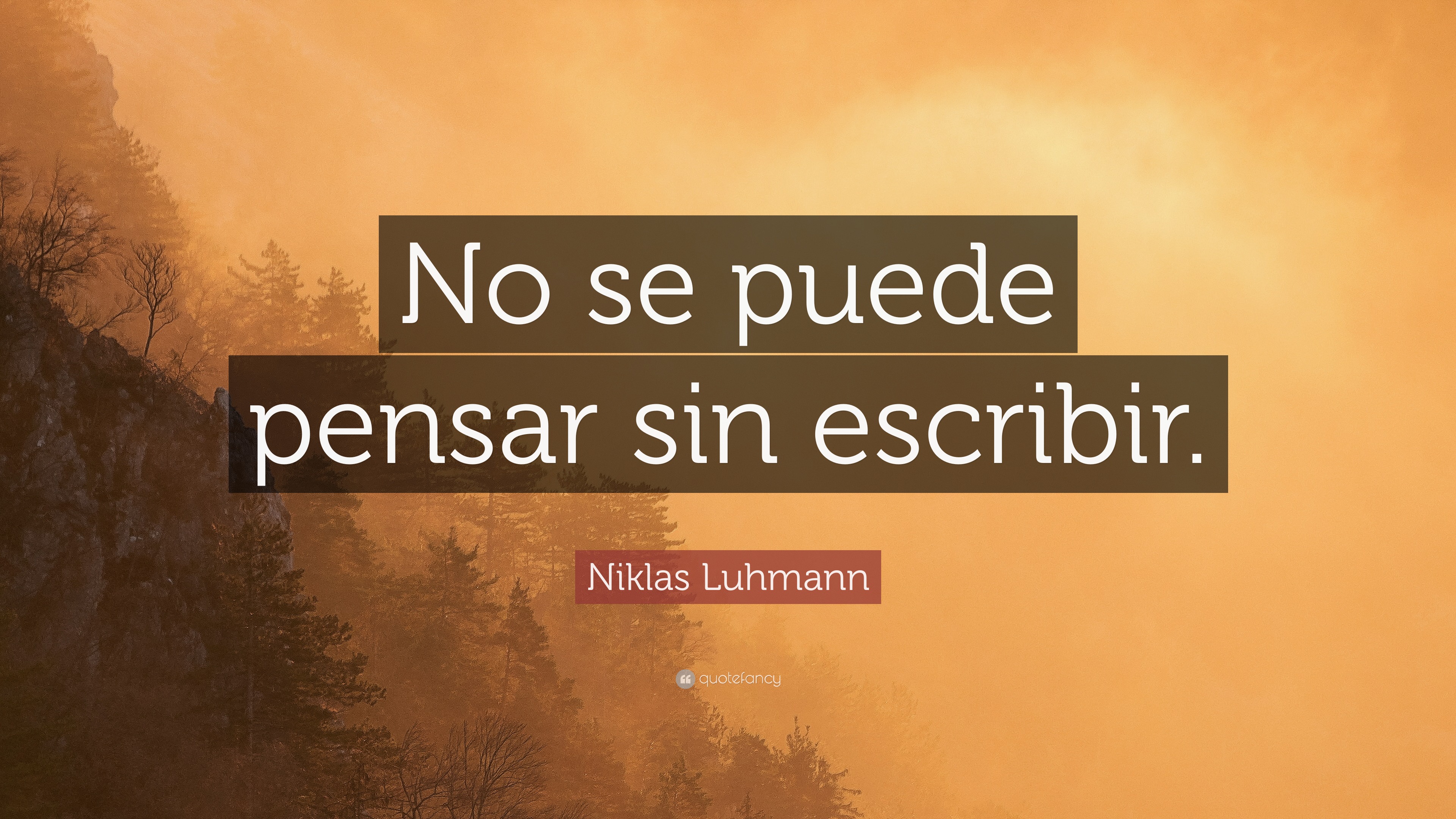Niklas Luhmann Quote: “No se puede pensar sin escribir.”