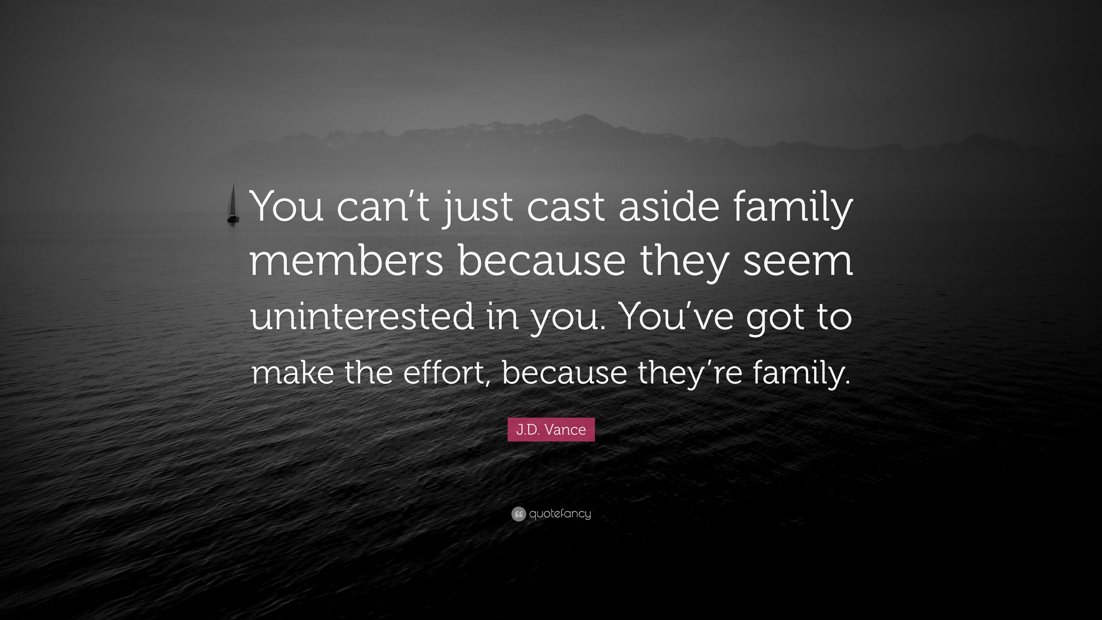 J.D. Vance Quote: “You can’t just cast aside family members because ...
