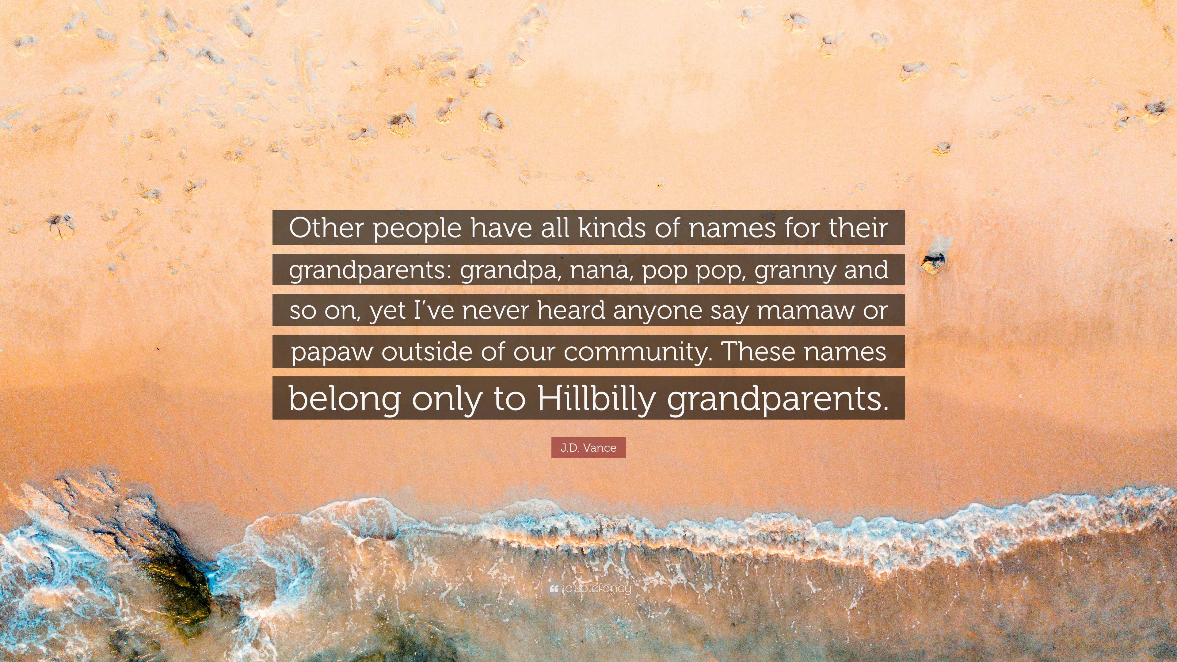 J.D. Vance Quote: “Other people have all kinds of names for their ...