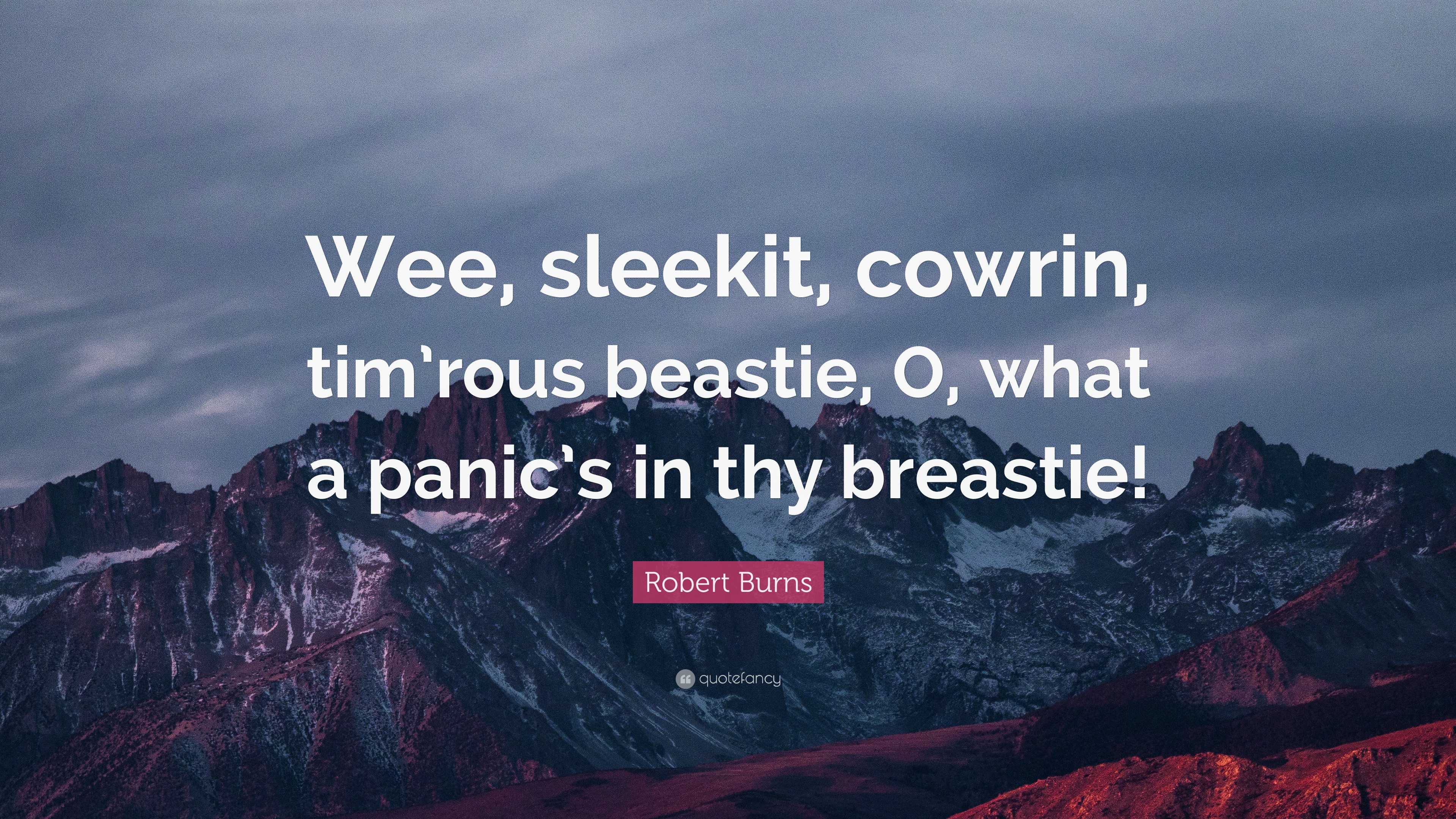 Robert Burns Quote: “Wee, sleekit, cowrin, tim’rous beastie, O, what a ...