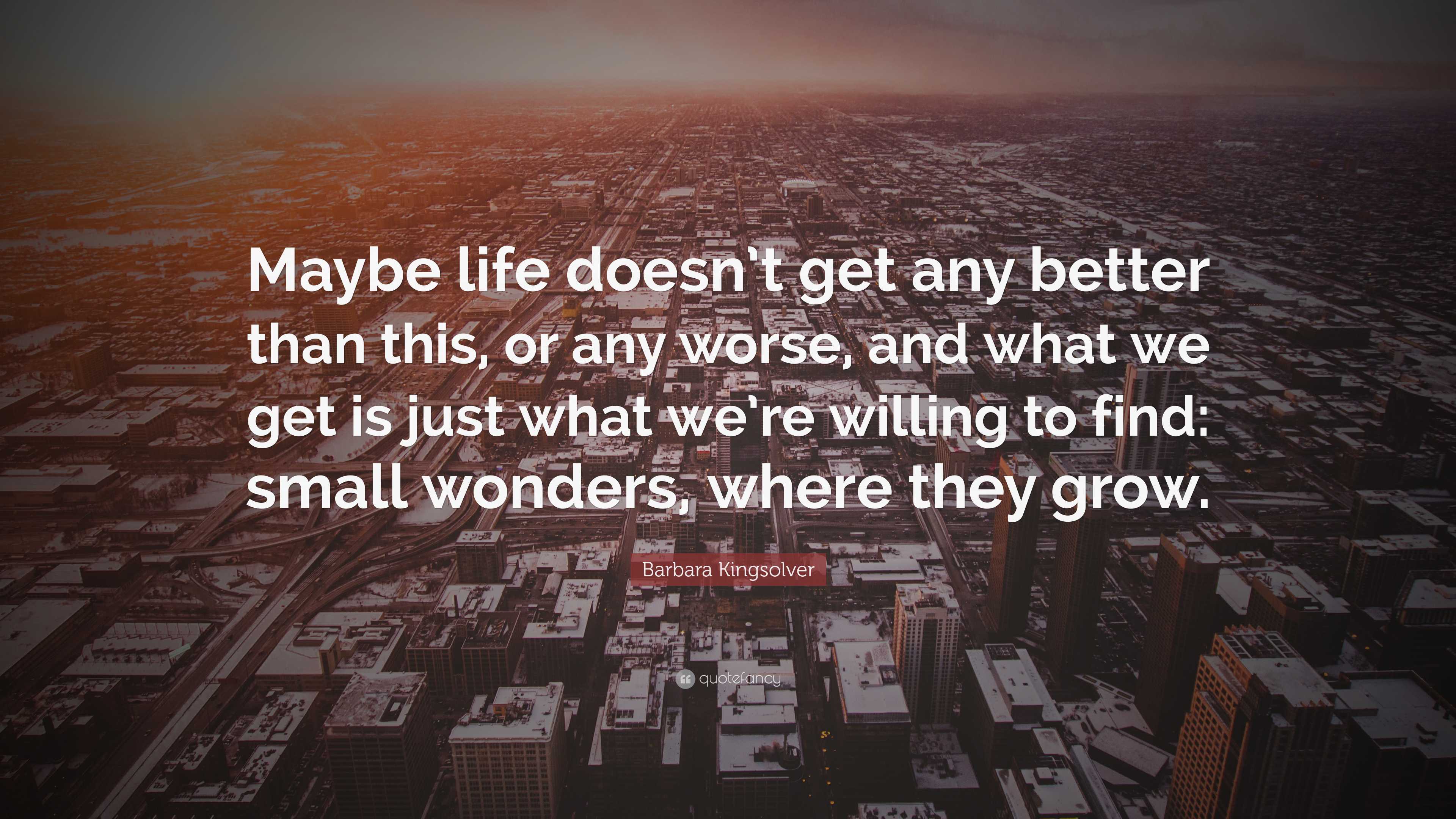 Barbara Kingsolver Quote: “Maybe life doesn’t get any better than this ...