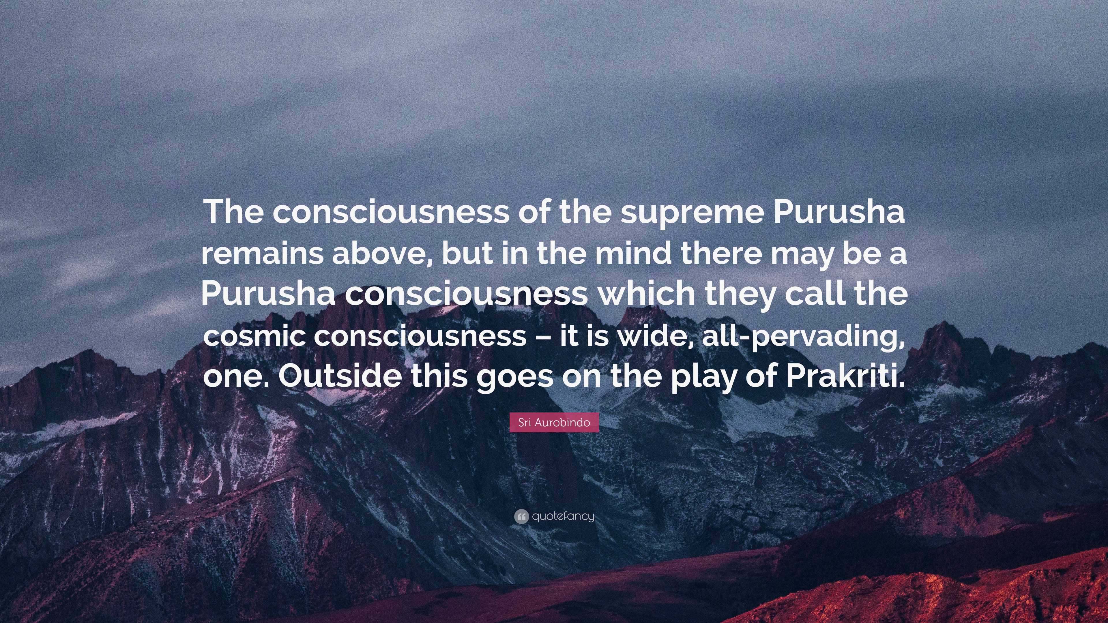 Sri Aurobindo Quote: “The consciousness of the supreme Purusha remains ...