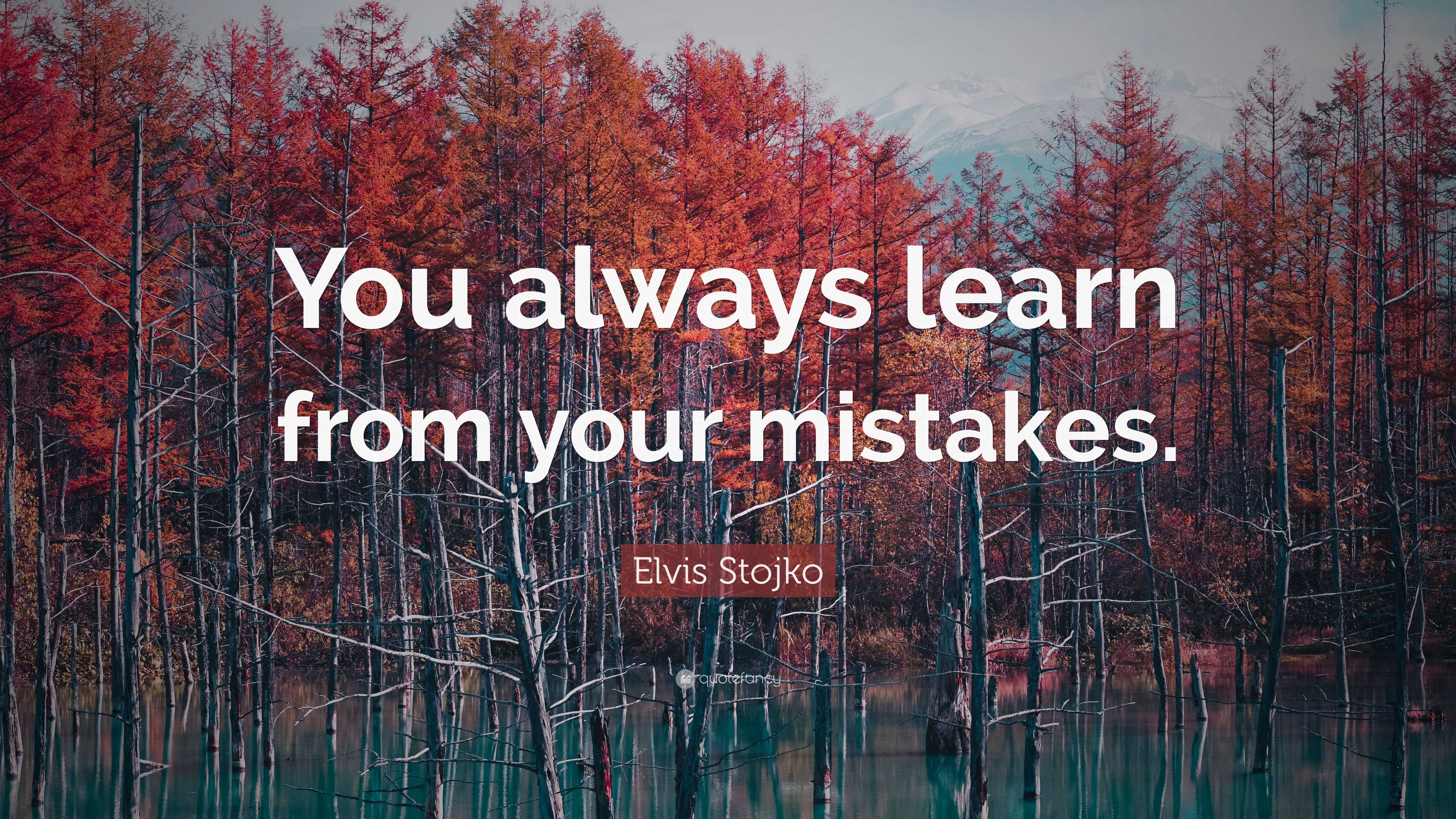 Elvis Stojko Quote: “You always learn from your mistakes.”