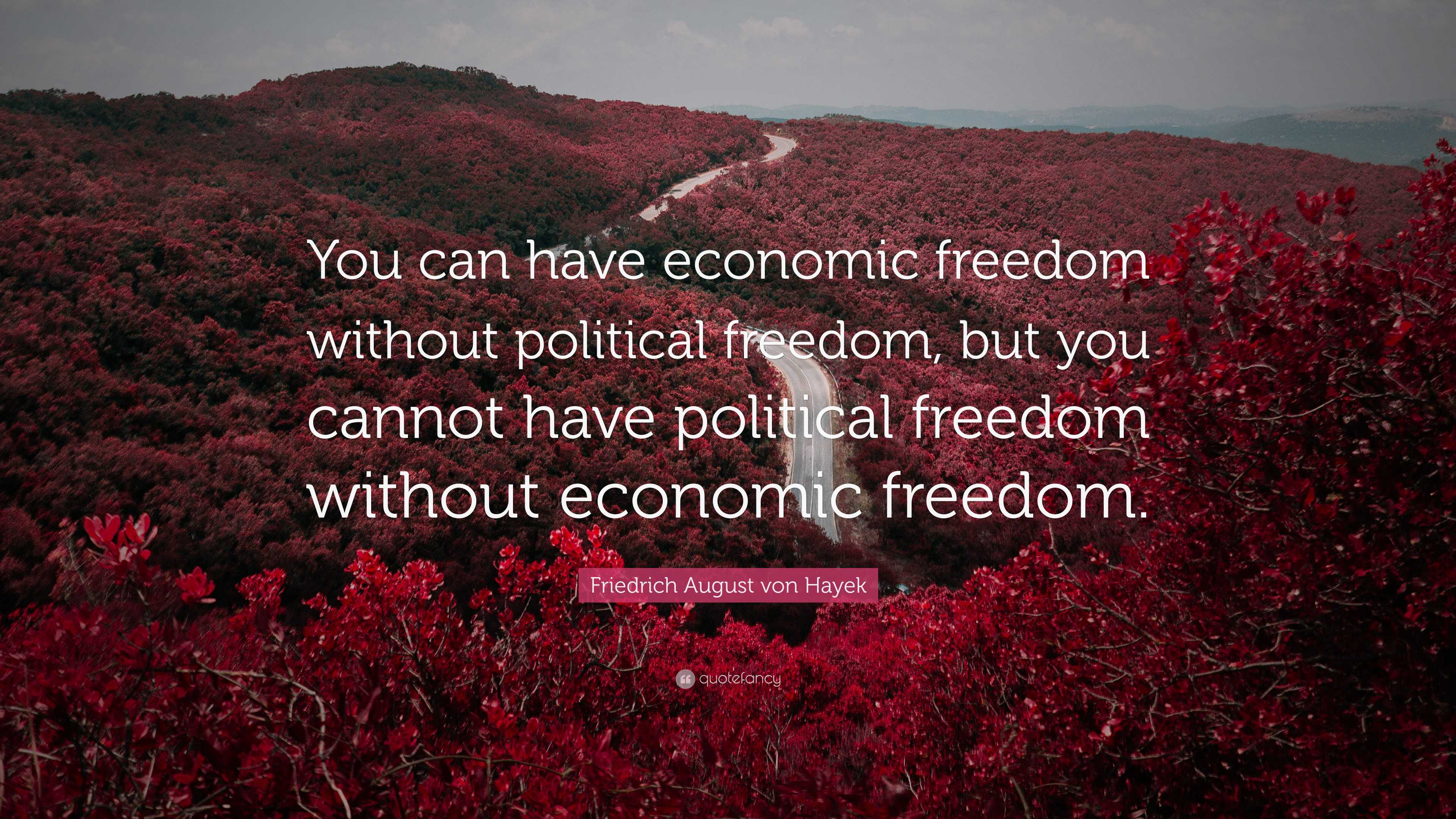 Friedrich August von Hayek Quote: “You can have economic freedom ...