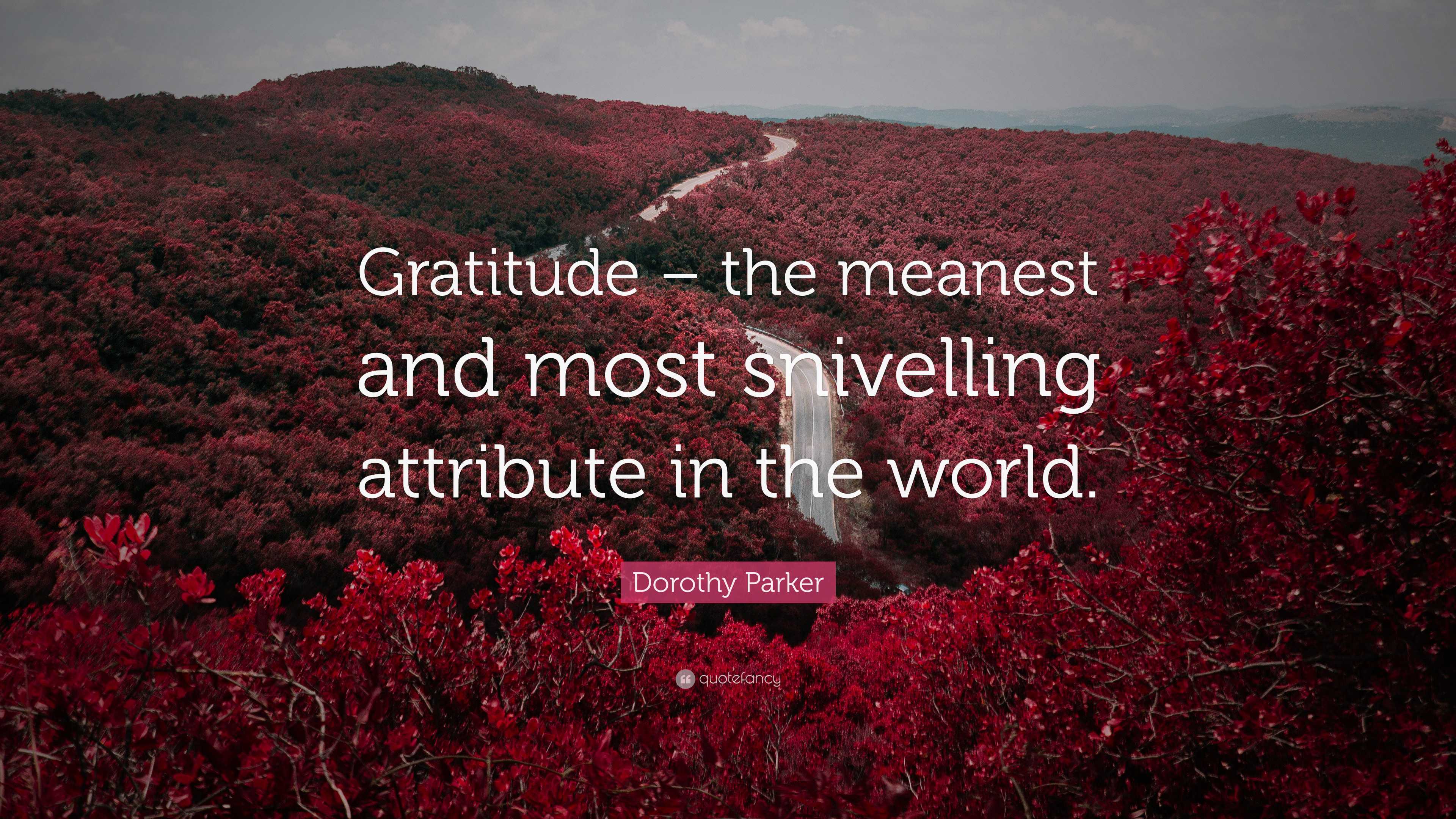 Dorothy Parker Quote: “Gratitude – the meanest and most snivelling ...
