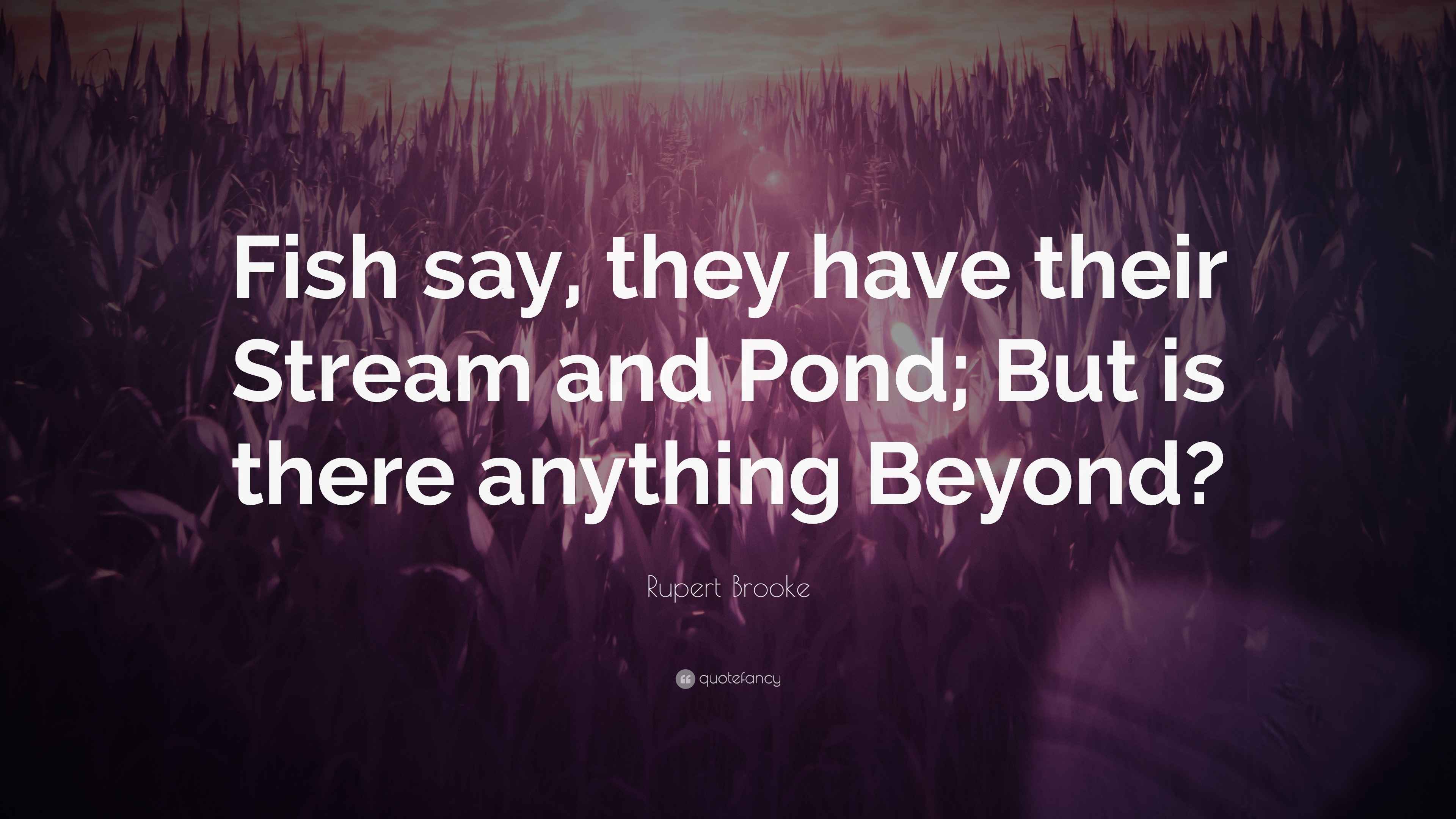 Rupert Brooke Quote: “Fish say, they have their Stream and Pond; But is ...