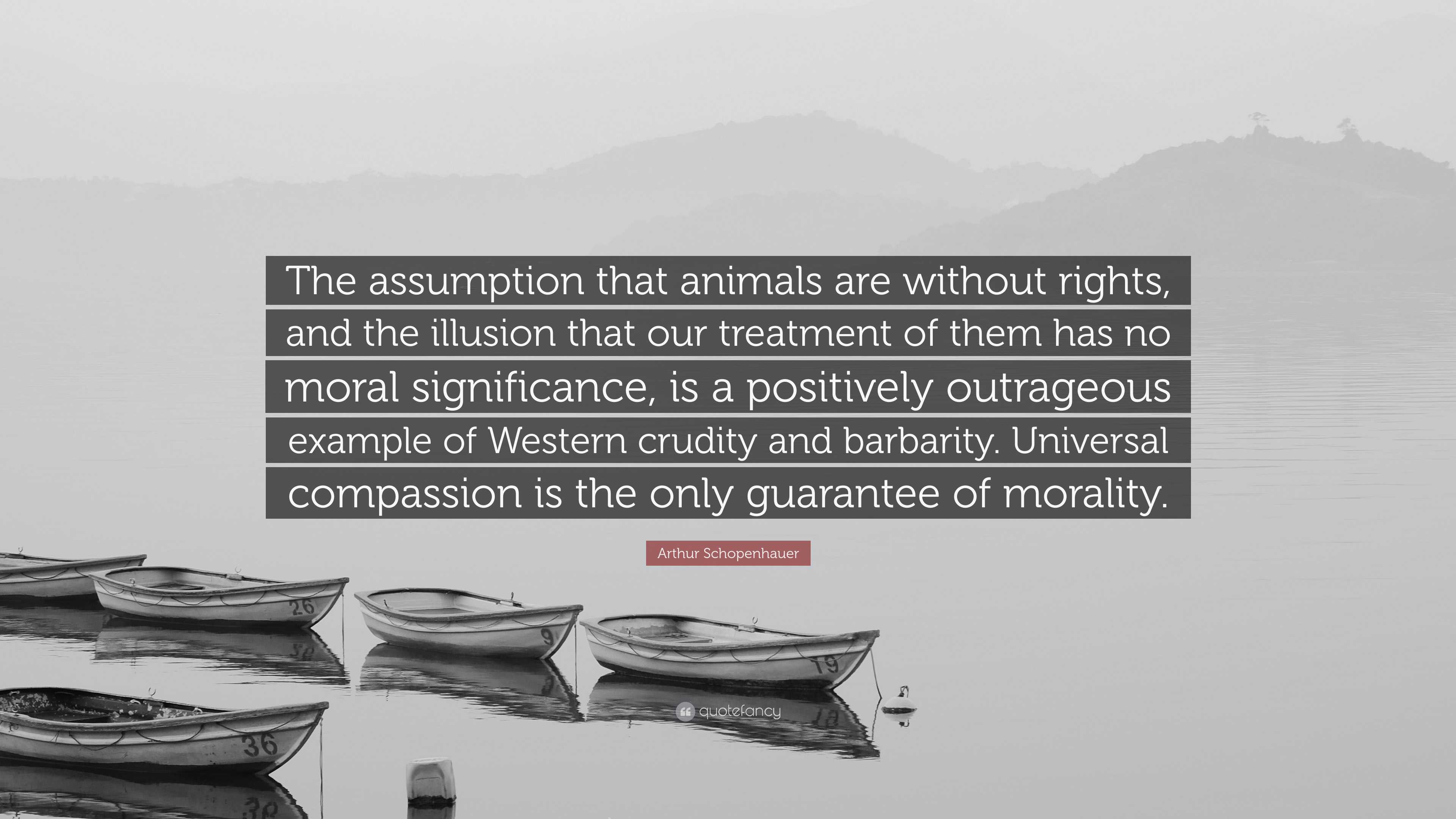 Arthur Schopenhauer Quote: “The assumption that animals are without ...