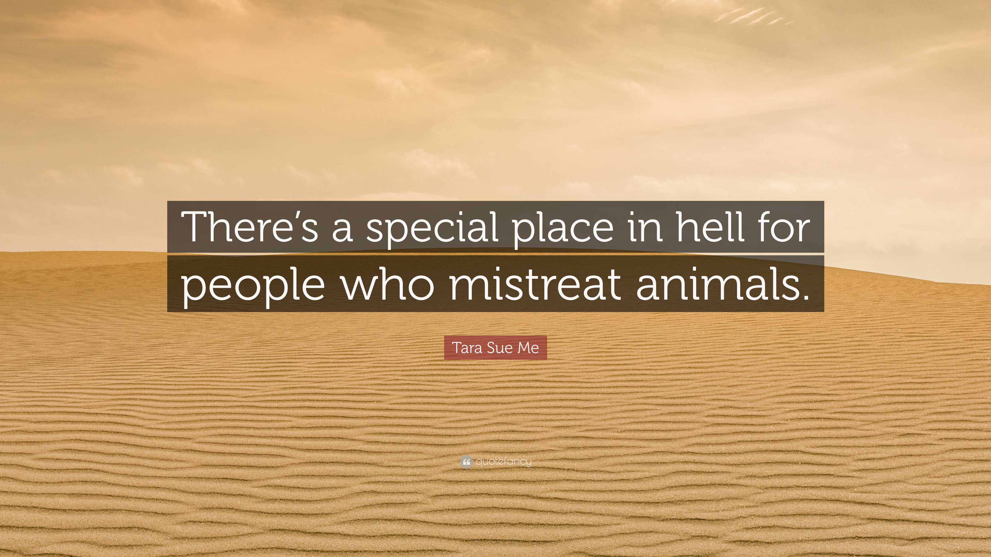Tara Sue Me Quote: “There’s a special place in hell for people who ...