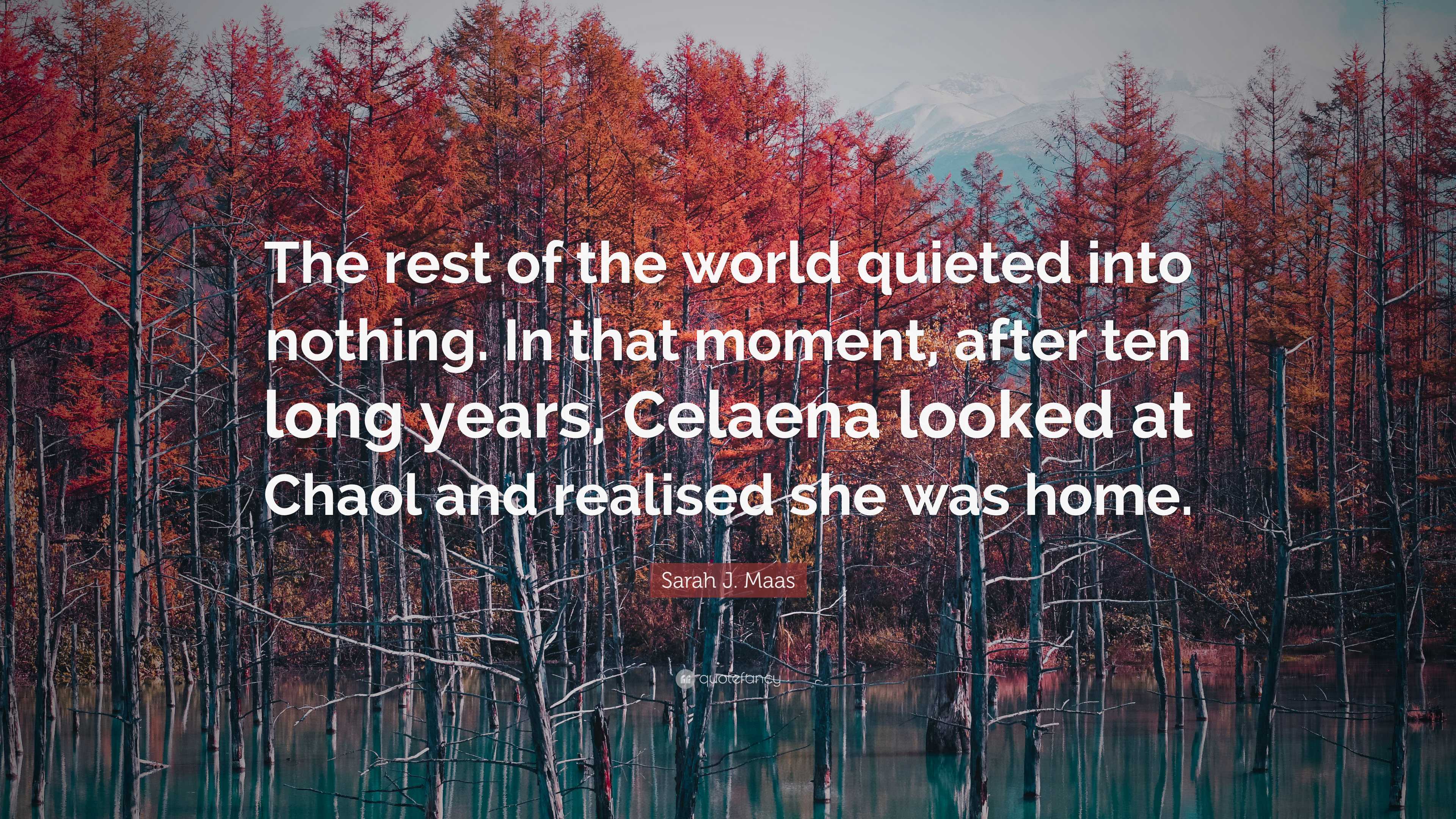 Sarah J. Maas Quote: “The rest of the world quieted into nothing. In ...