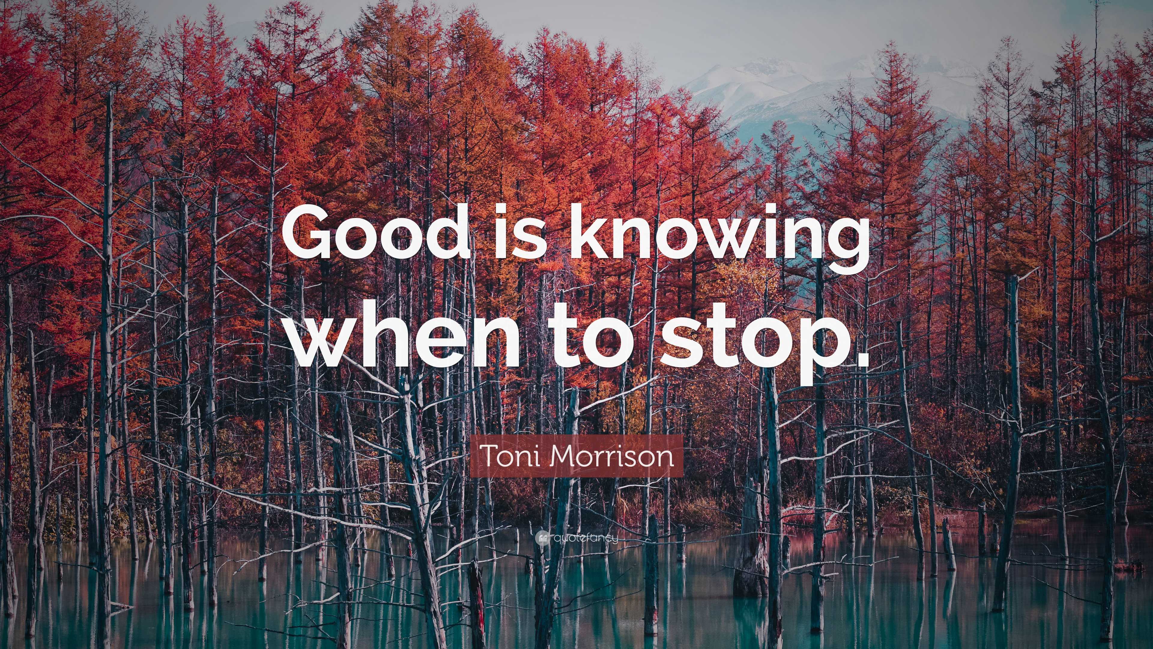 Toni Morrison Quote: “Good is knowing when to stop.”