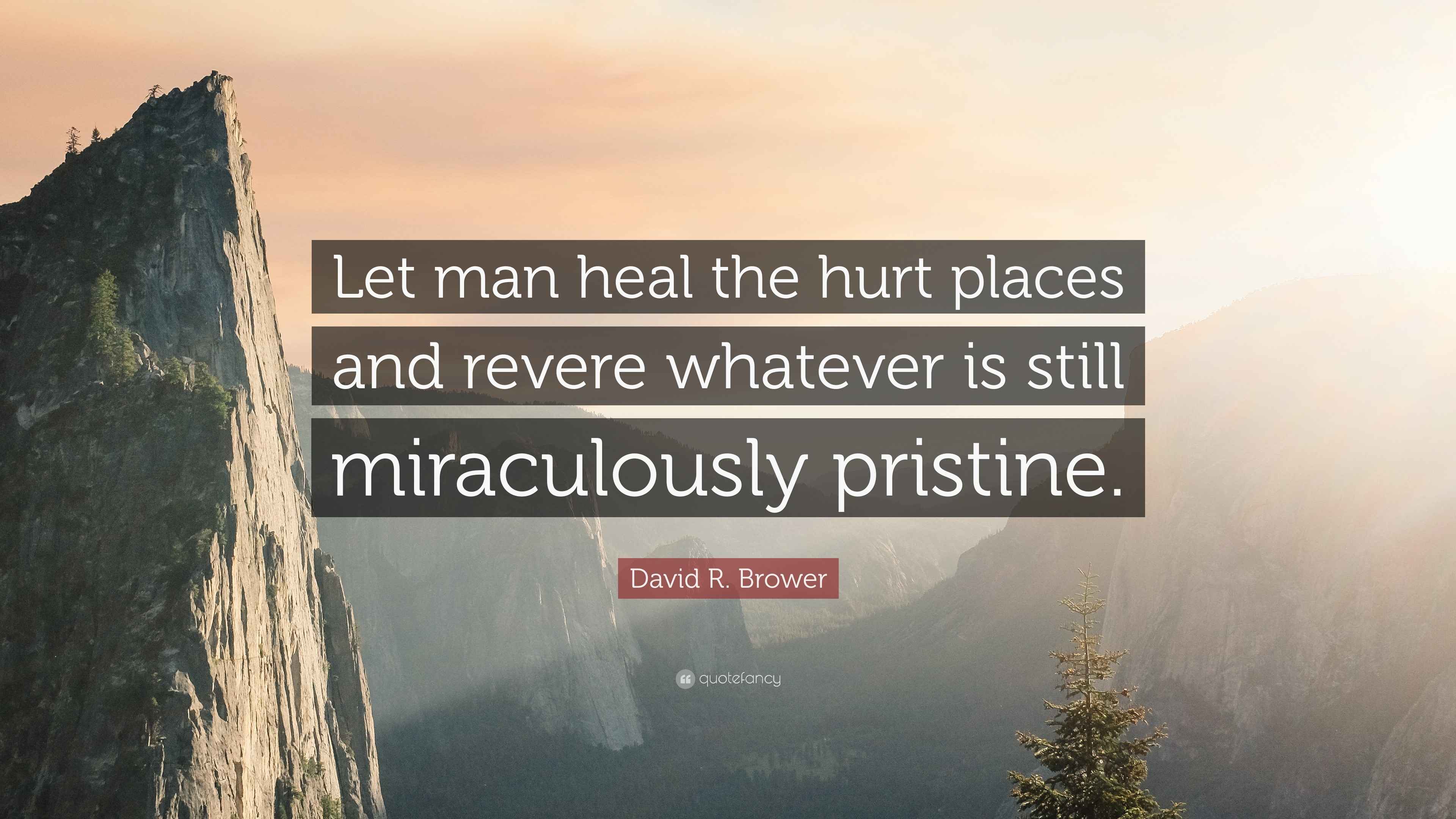 David R. Brower Quote: “Let man heal the hurt places and revere ...