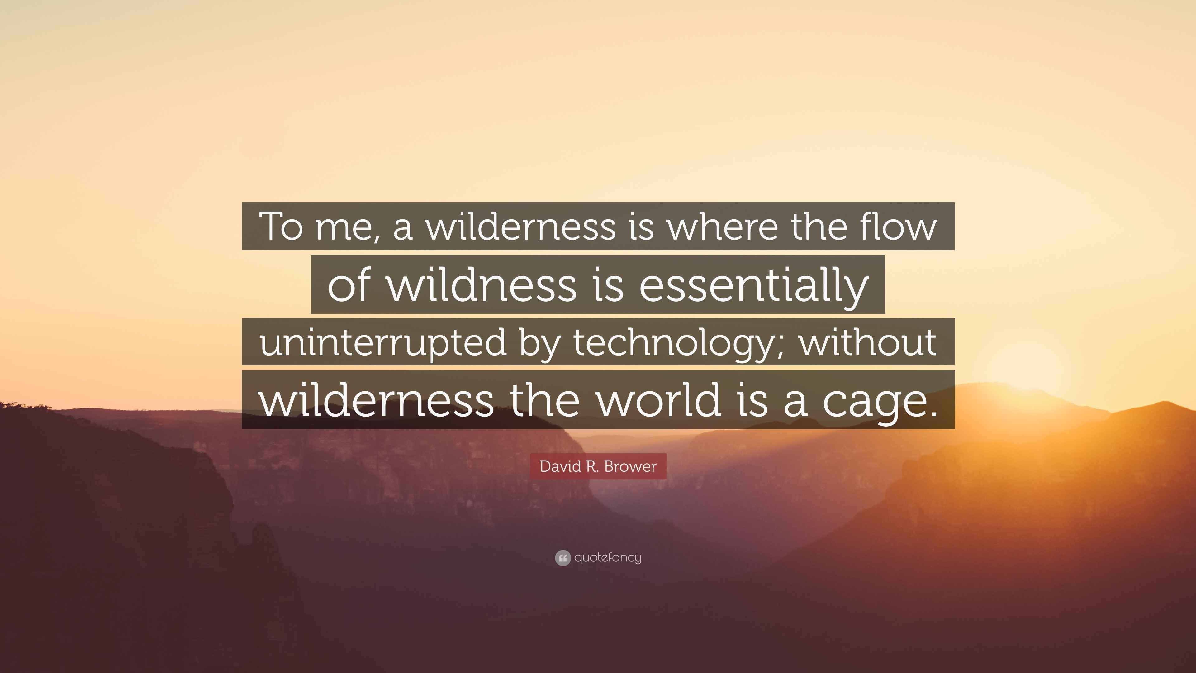 David R. Brower Quote: “To me, a wilderness is where the flow of ...