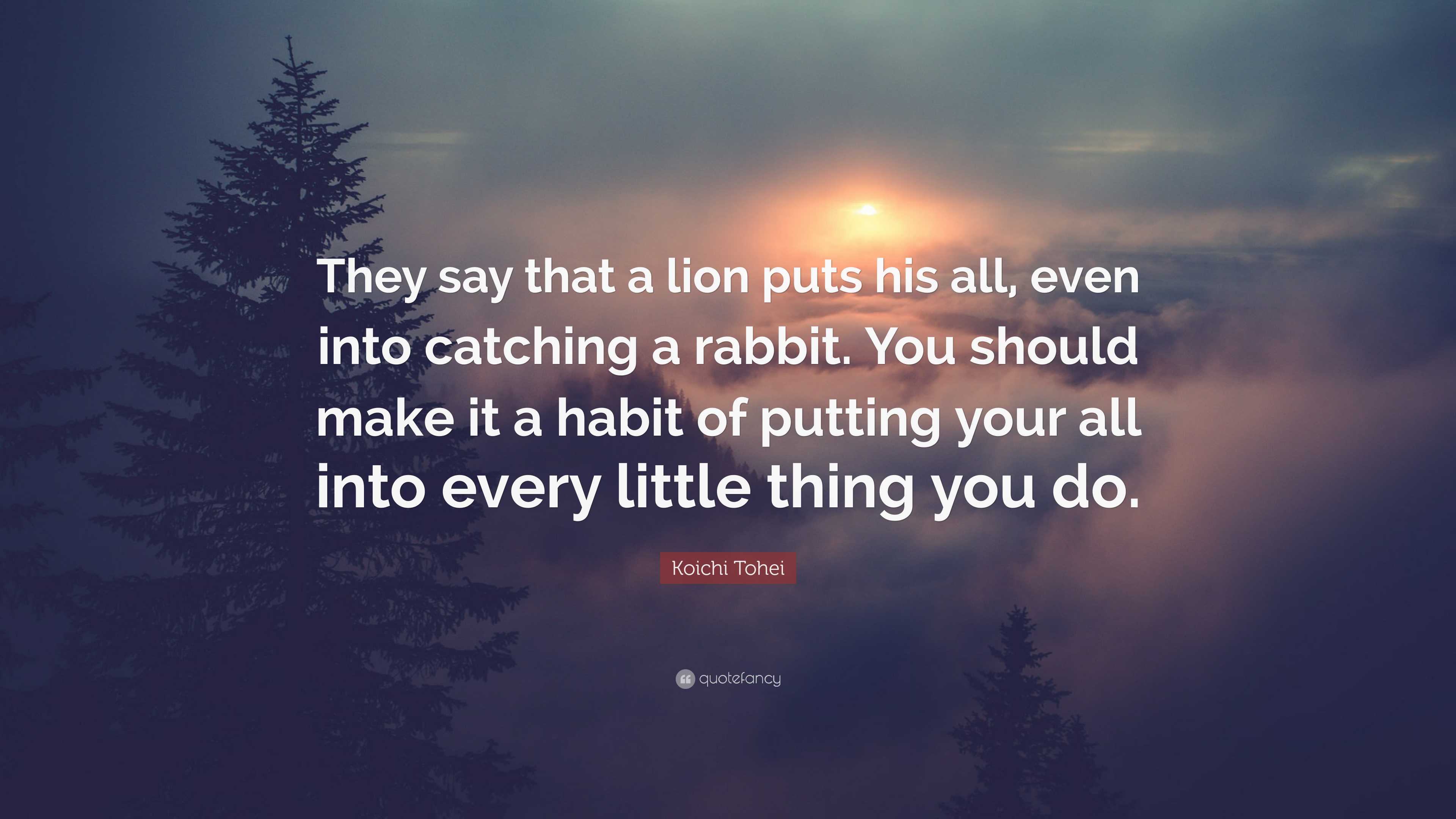 Koichi Tohei Quote: “They say that a lion puts his all, even into ...